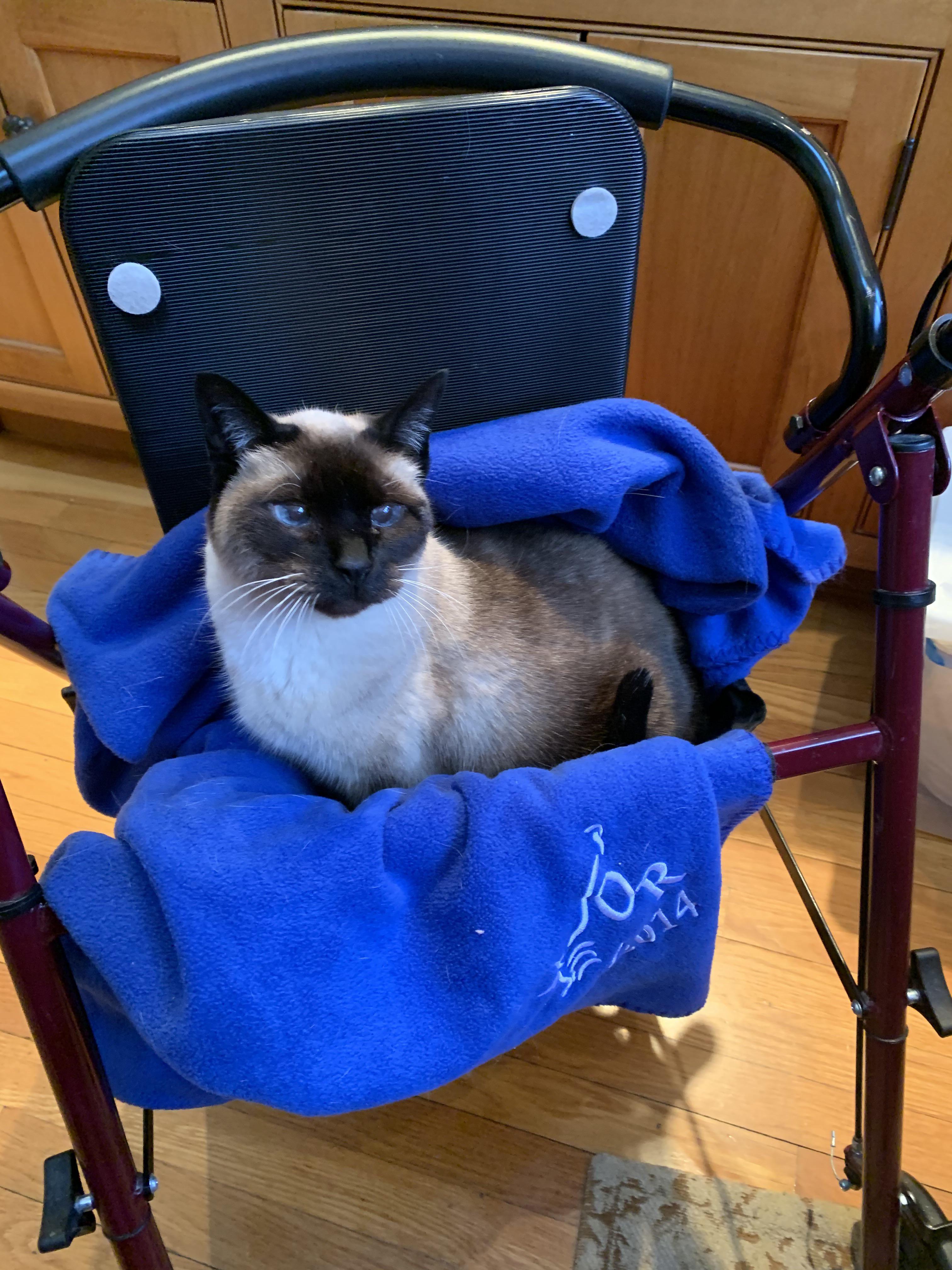 Sassy woman just turned 19 | Scrolller