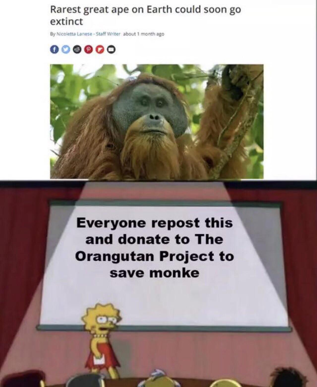 Save monke | Scrolller