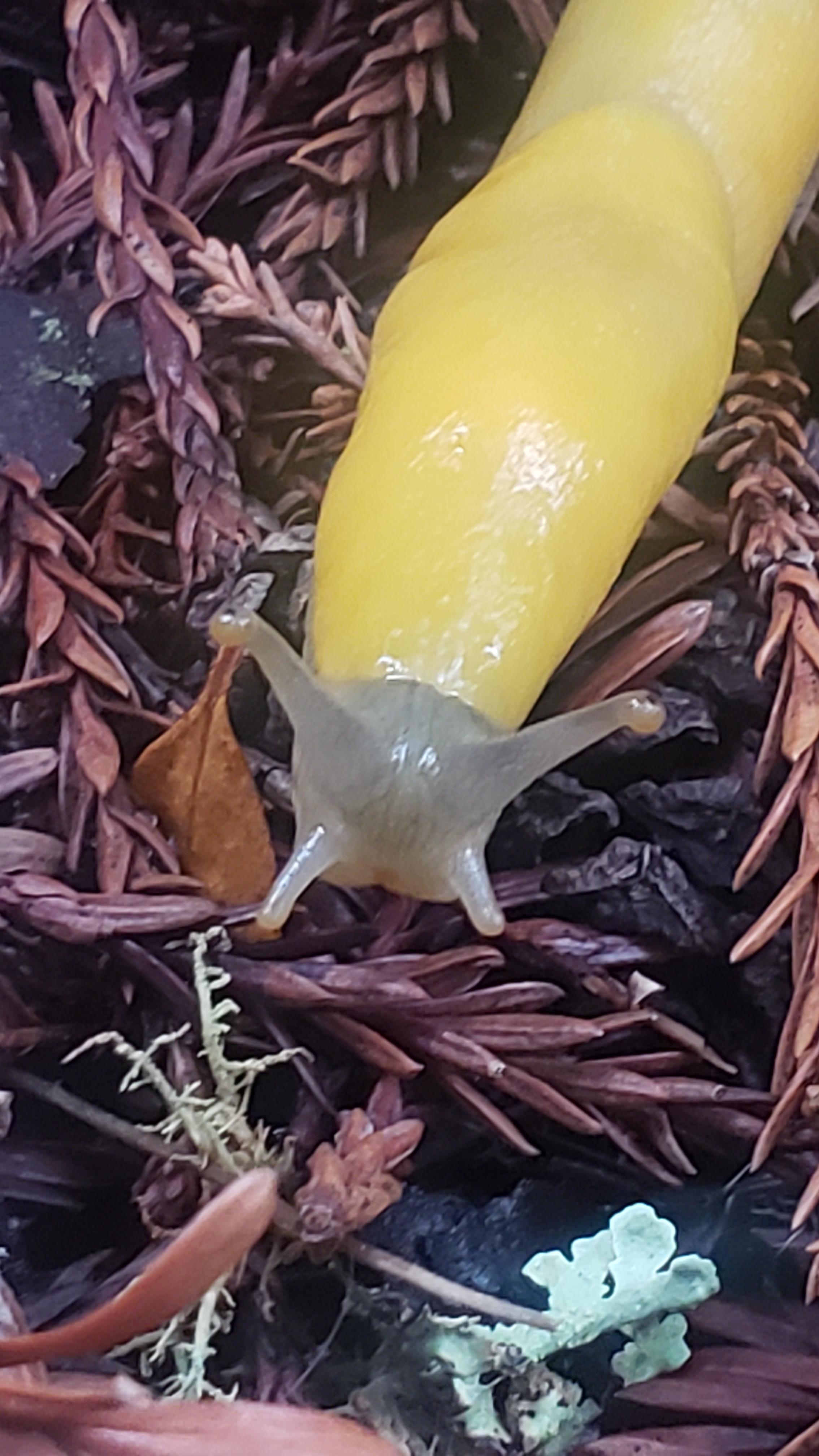 Saw him near McHenry | Scrolller