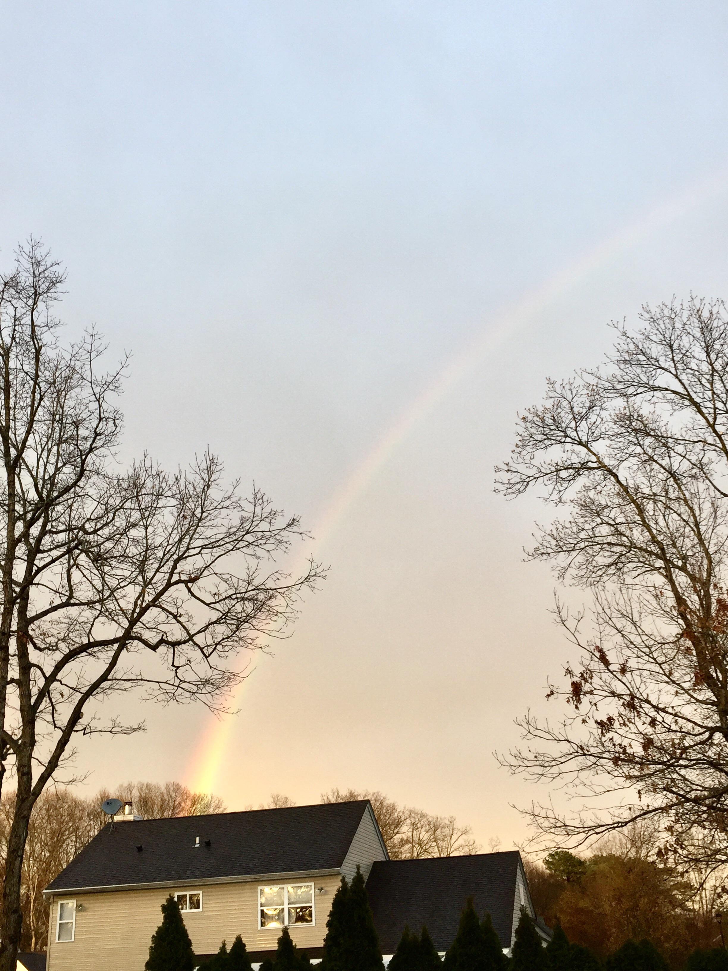 Saw this after some intense thunderstorms. | Scrolller