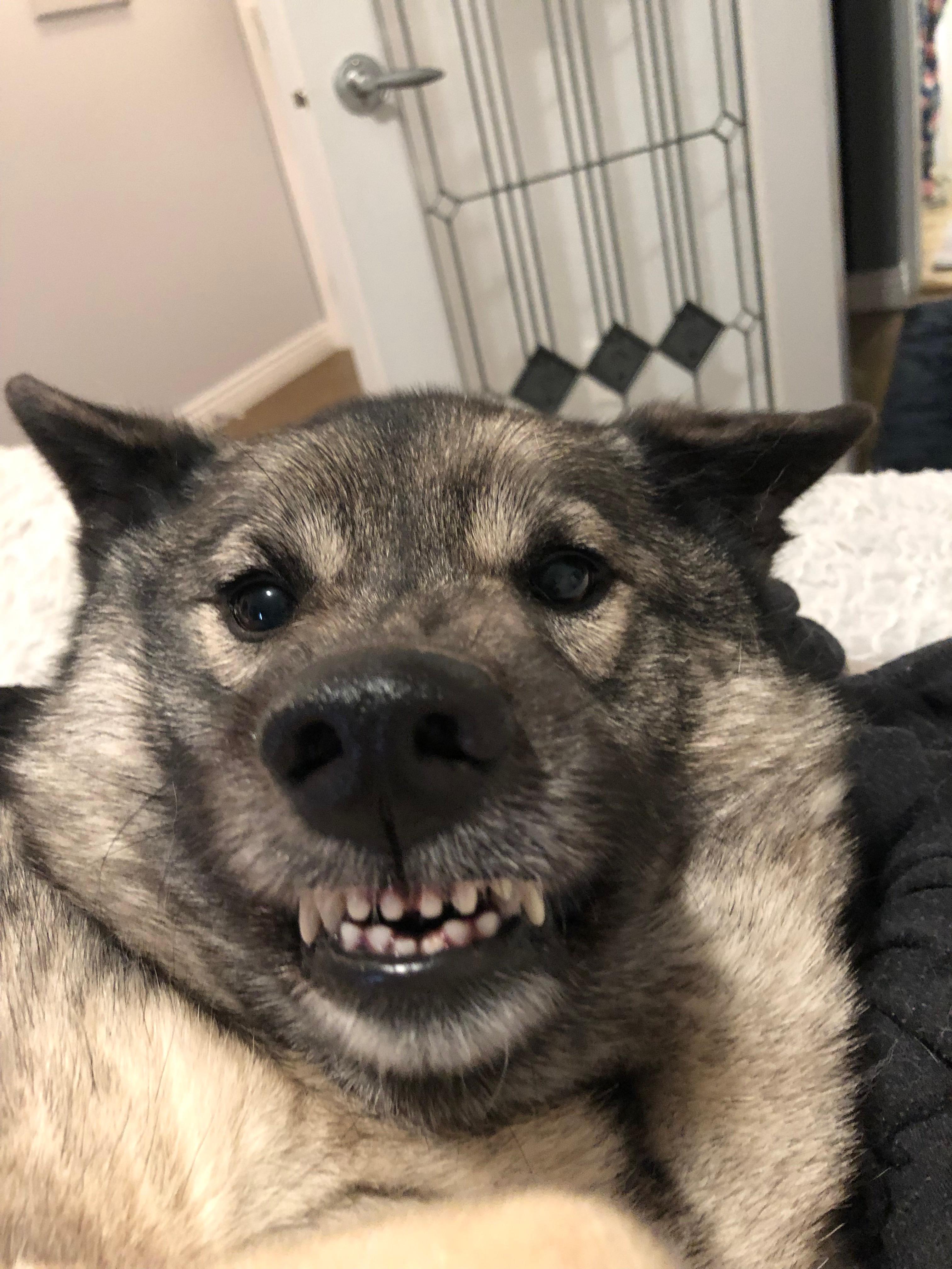 Say cheese!! | Scrolller