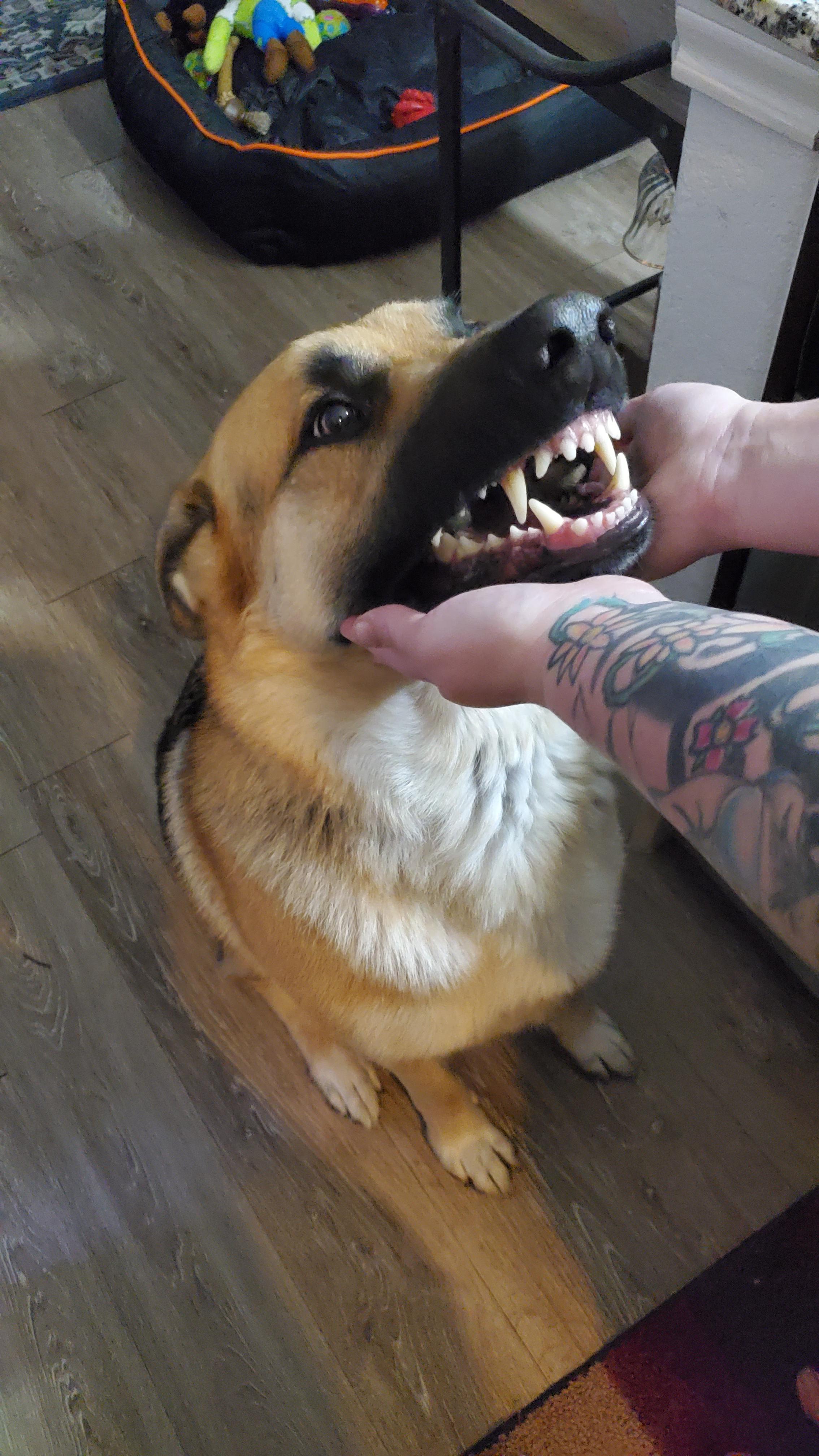 Say Cheese! | Scrolller