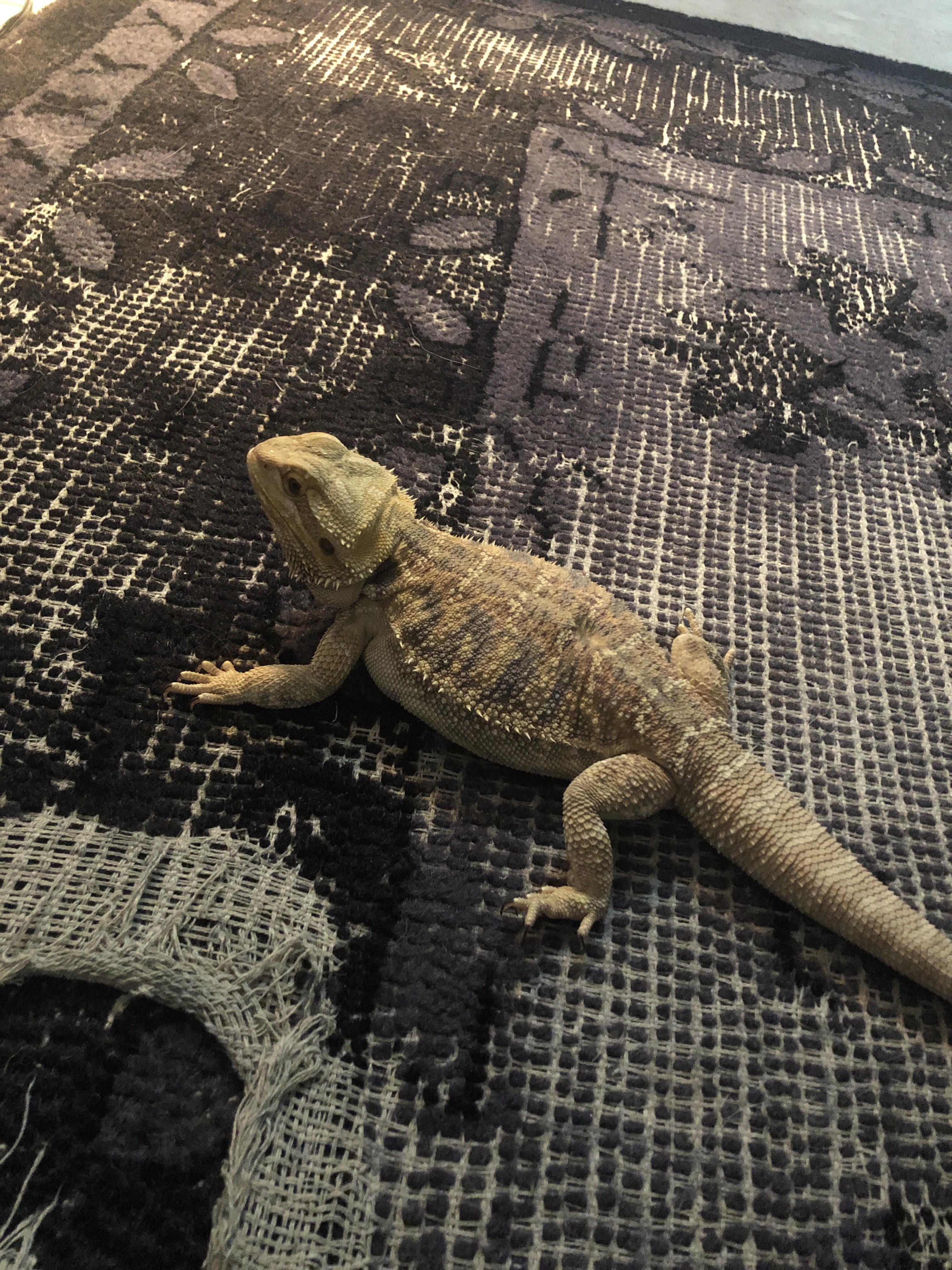 Say hi Doug! | Scrolller