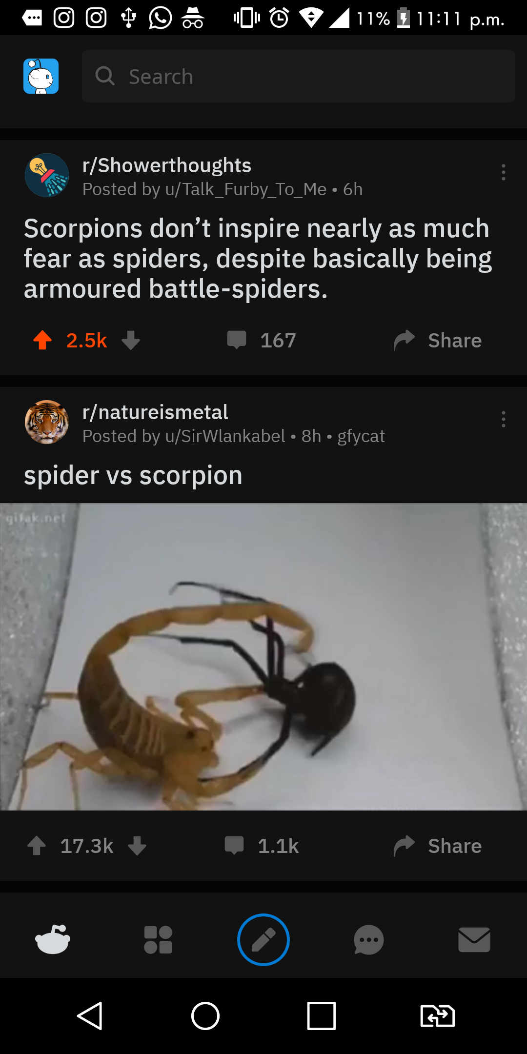 Scorpions are underrated | Scrolller