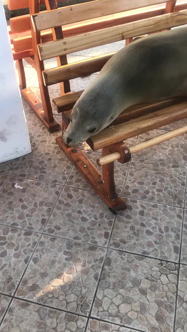 Waterdog re-positions himself for comfort. | Scrolller