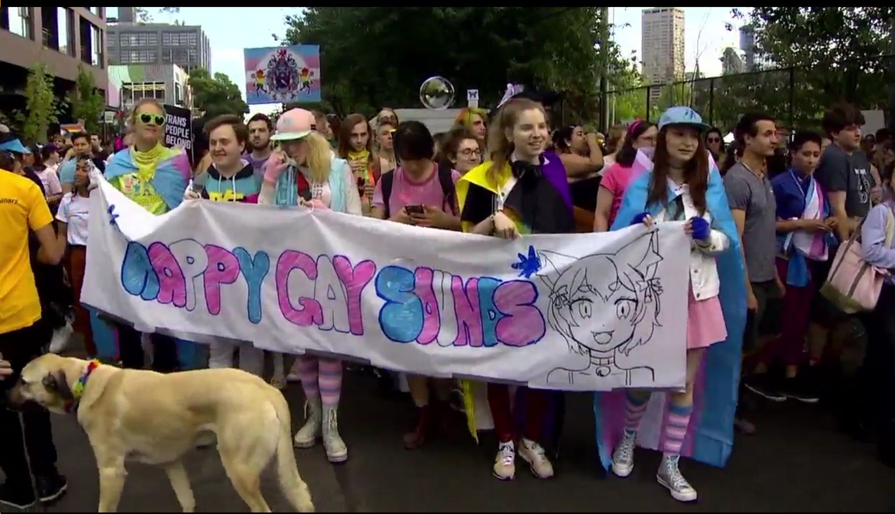 Seattle Trans Pride~ UwU | Scrolller