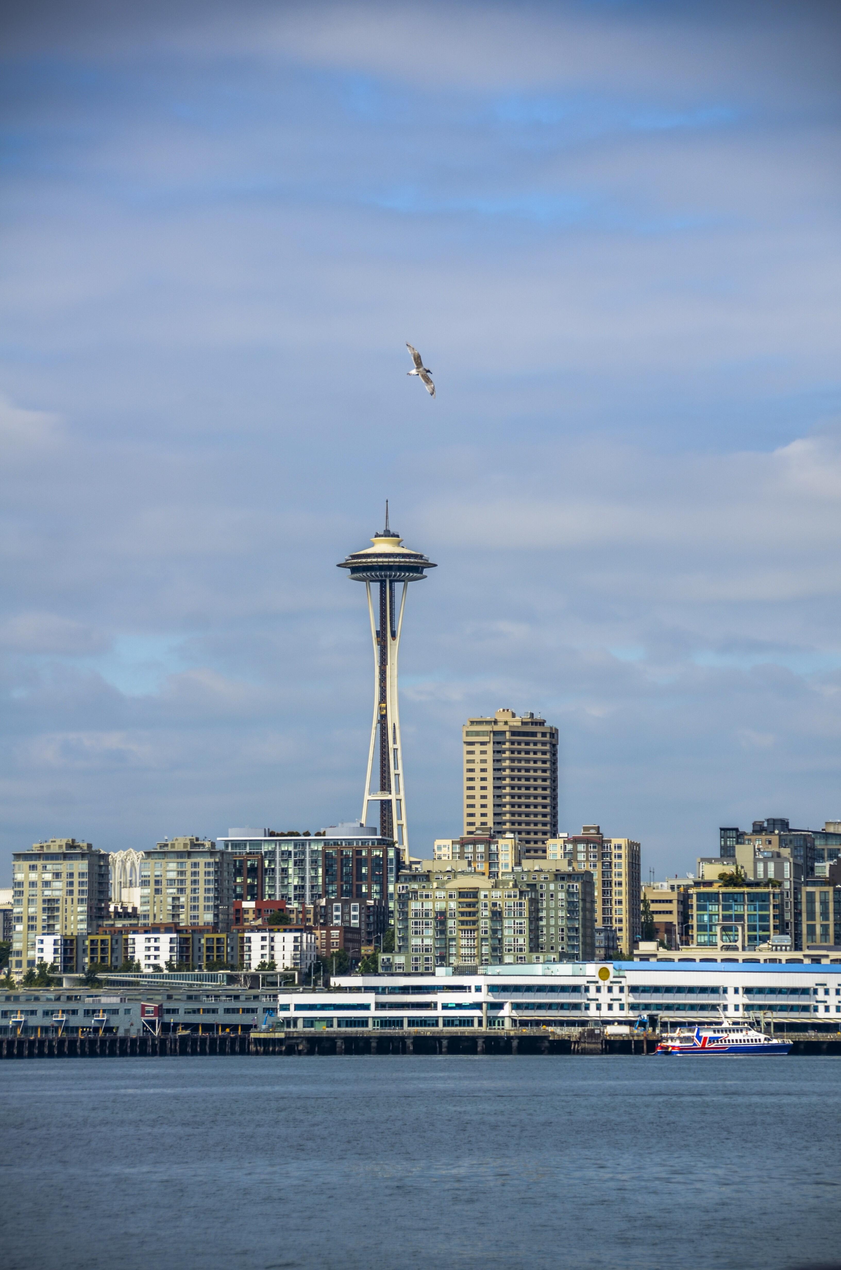 📍Seattle, WA | Scrolller