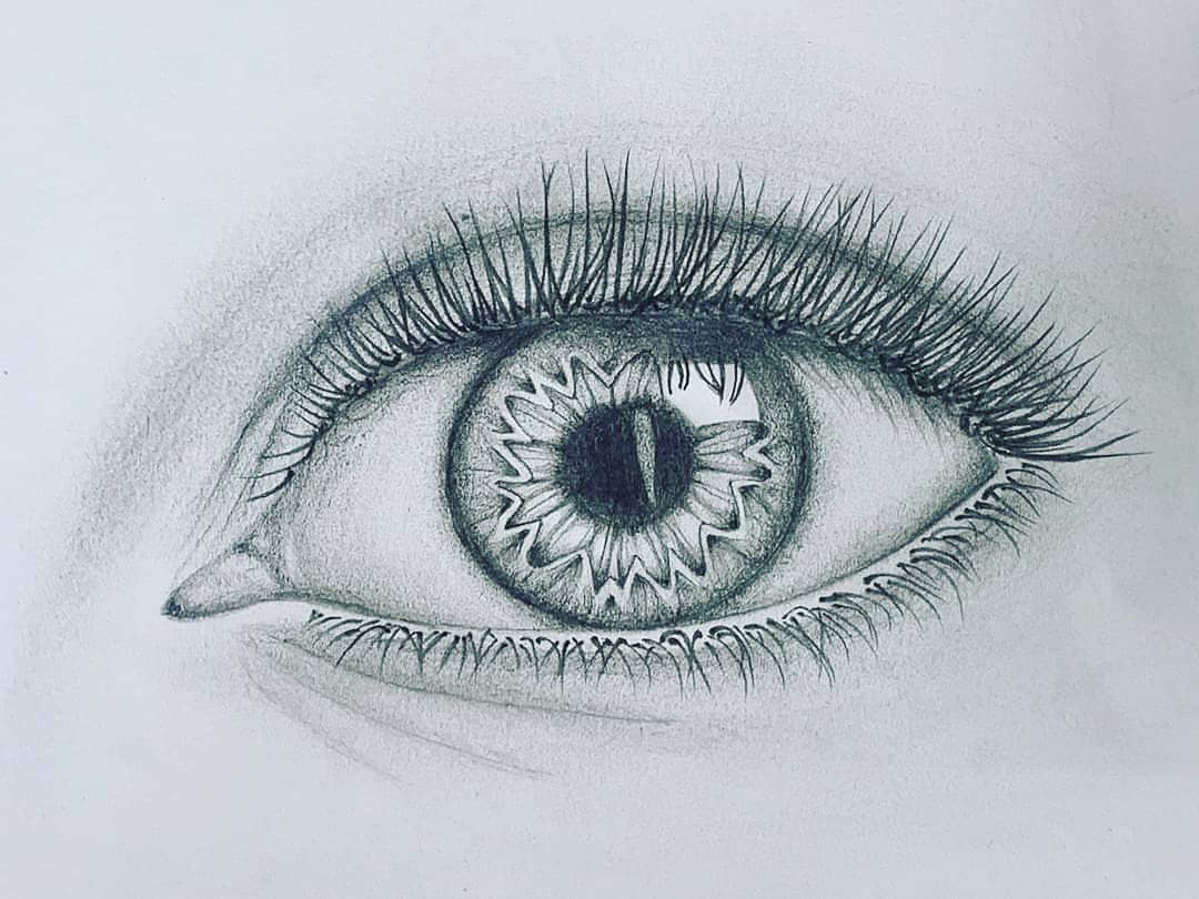 Second attempt | Scrolller