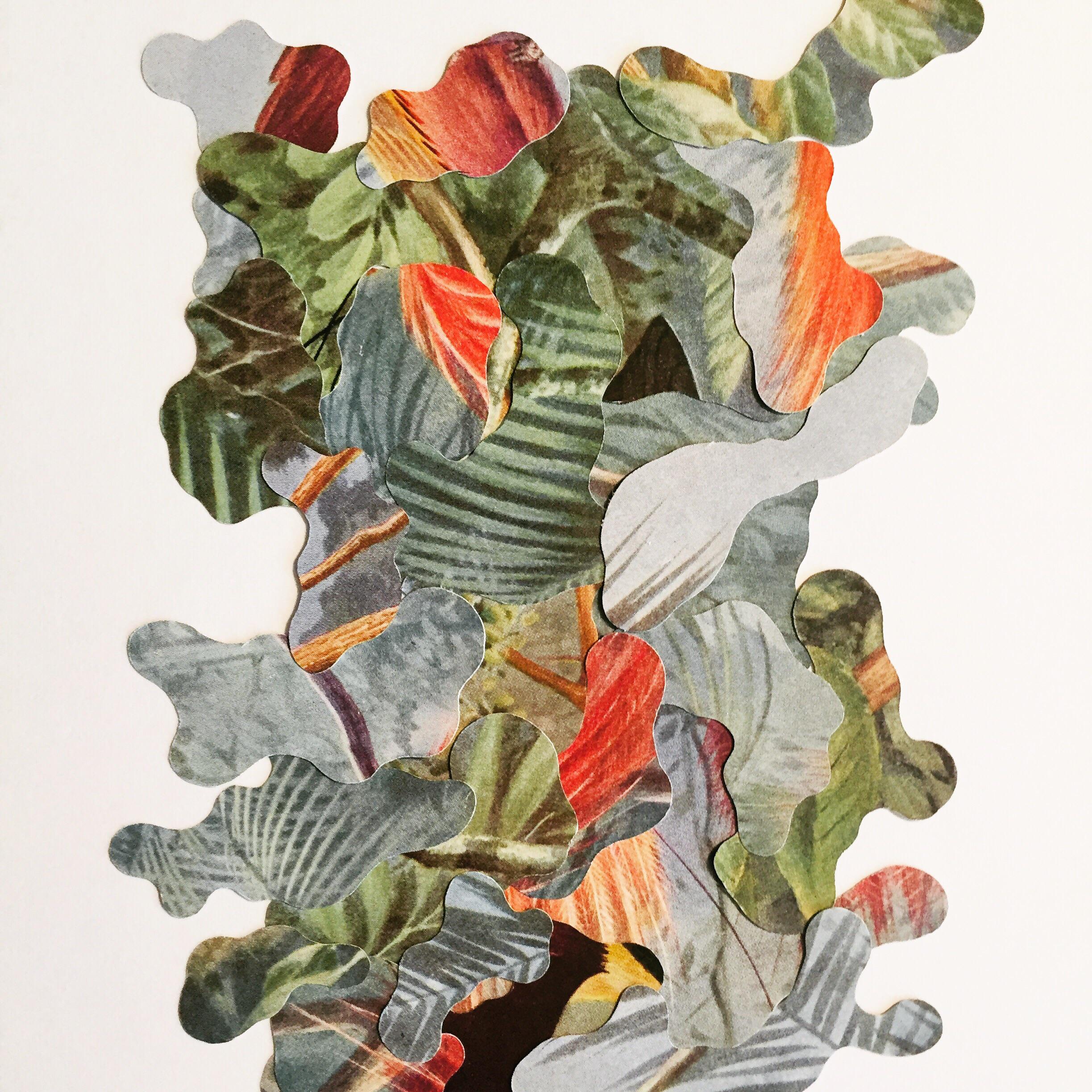 ‘Secret Garden No. 5’ [analog] | Scrolller