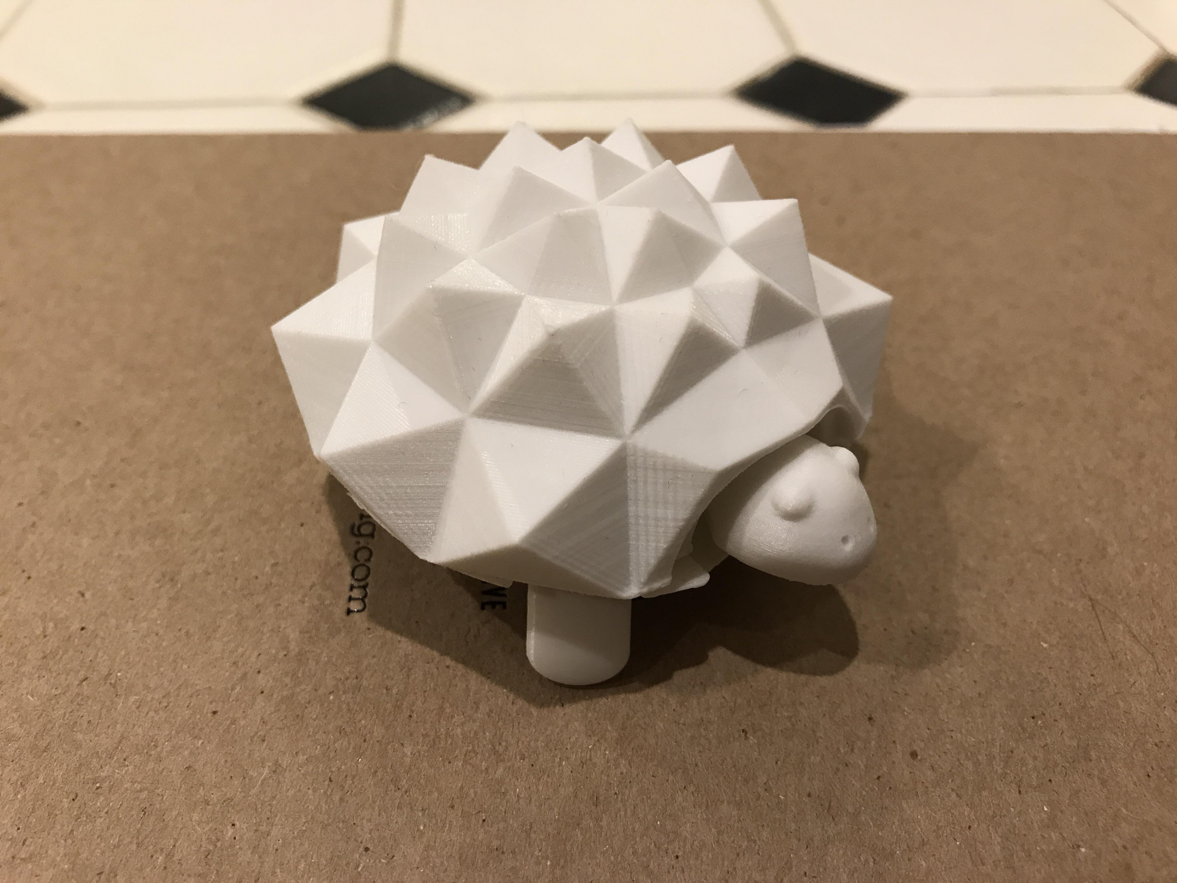 "See the turtle of enormous girth..." Even our 3-D printer serves the beam... | Scrolller