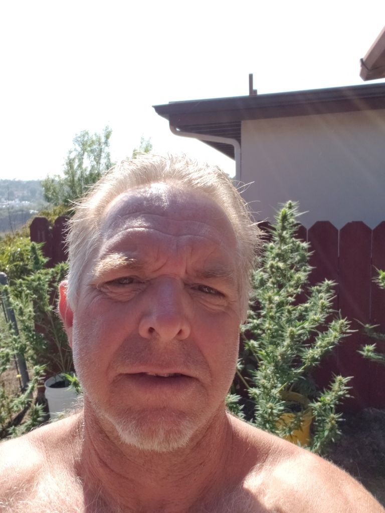 Seeking a bukake party in San diego | Scrolller