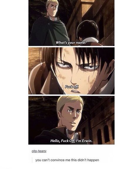 Seems like something erwin will definitely do. | Scrolller