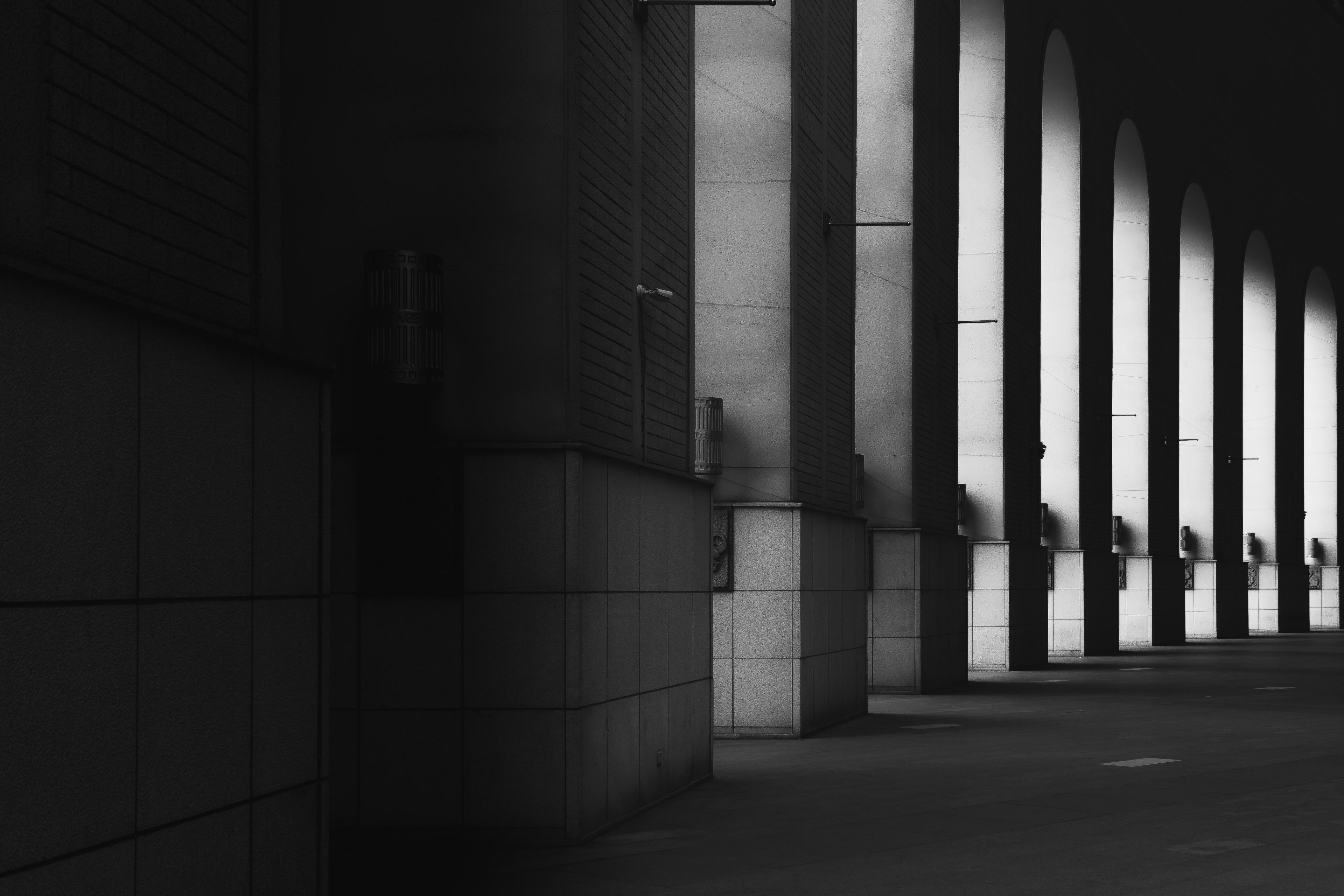 Segregation of Light | Scrolller