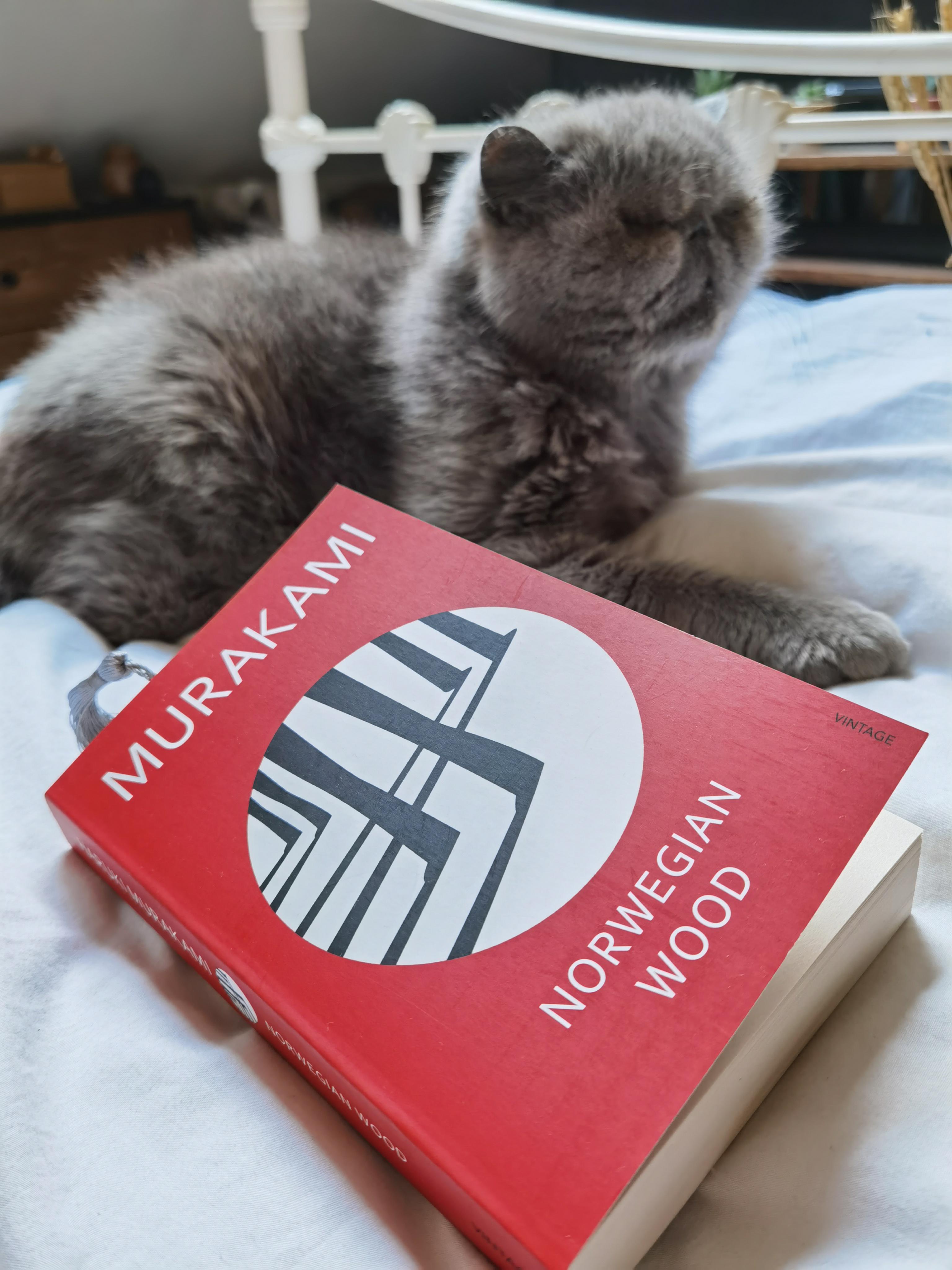 Self-Isolation reading w/best friend | Scrolller