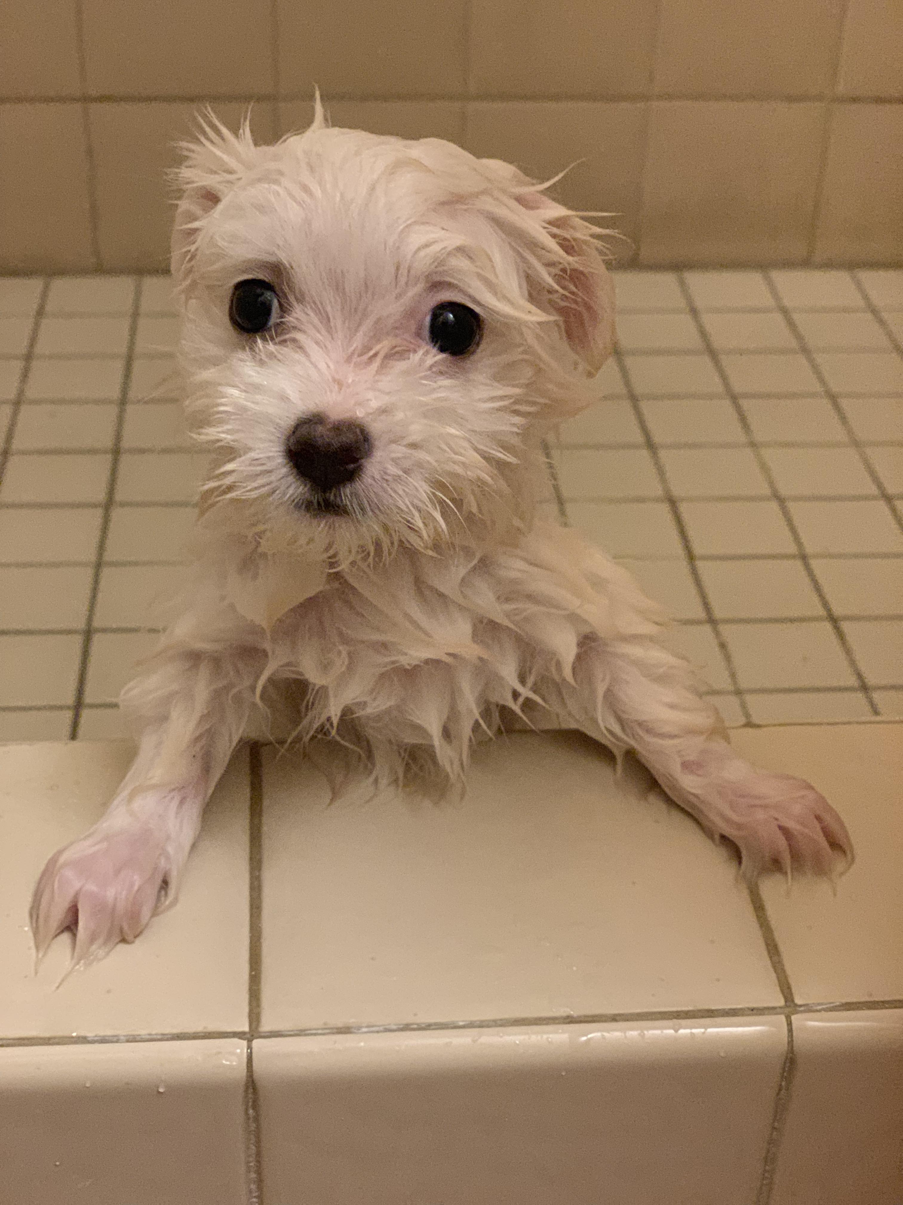 Send help | Scrolller