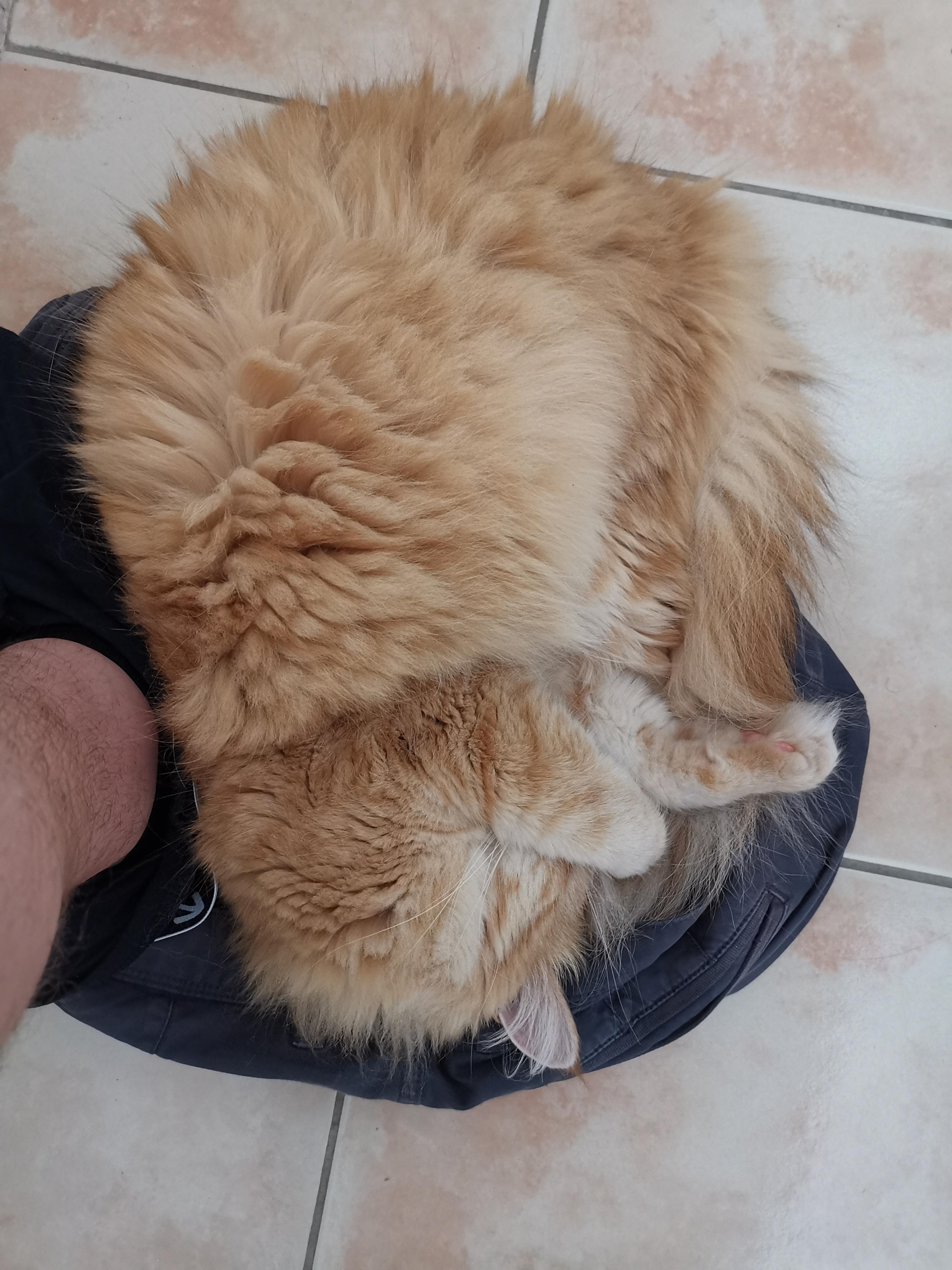 Send help I am stuck. | Scrolller