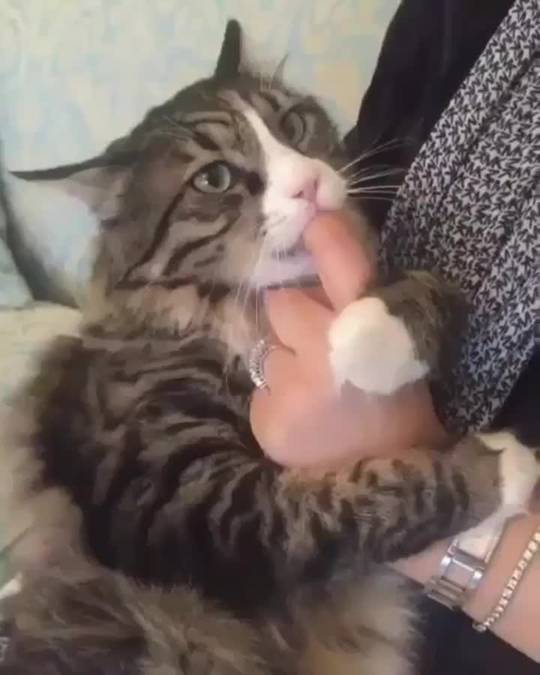 Separation anxiety issues? | Scrolller