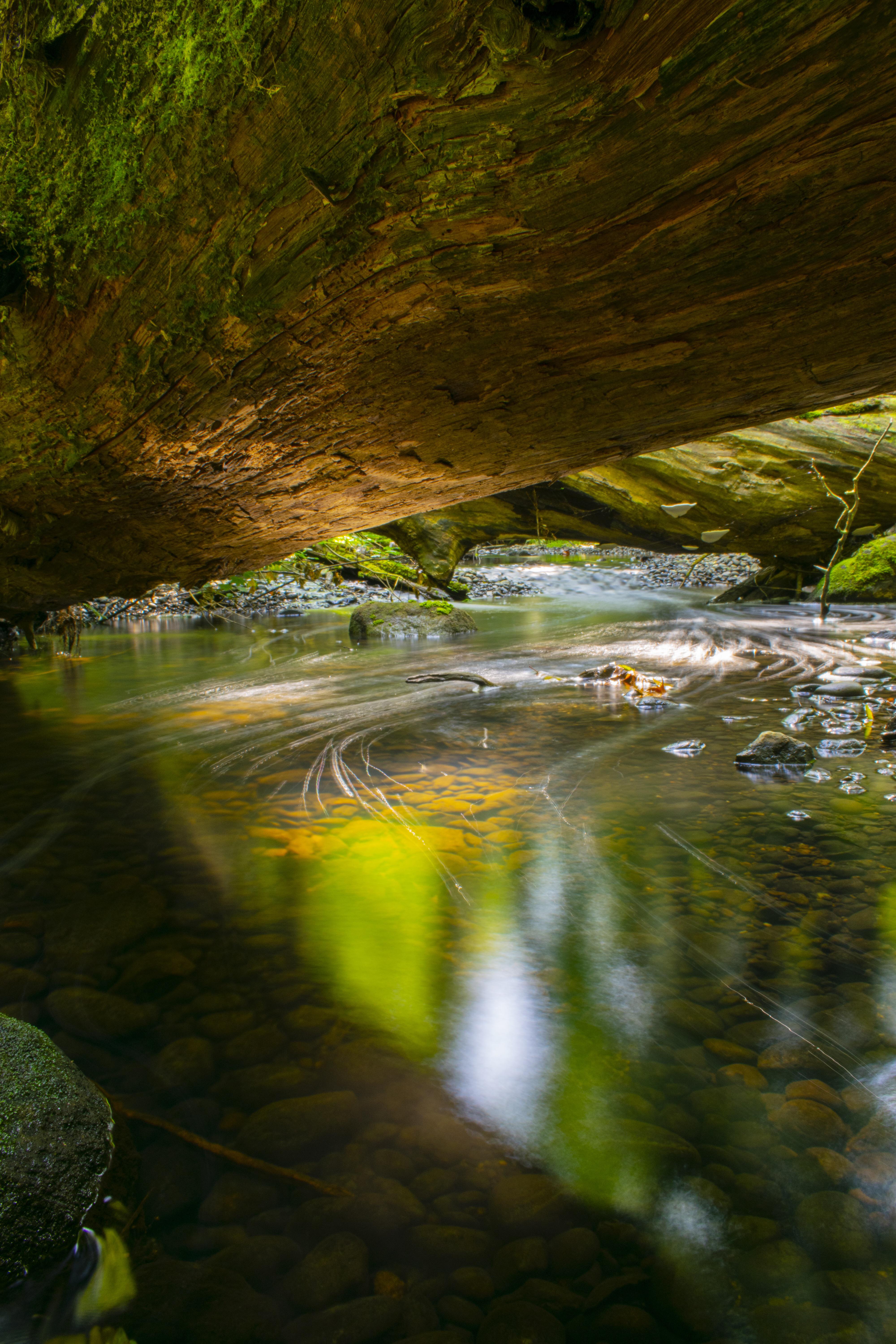 Serene creek in my backyard | Scrolller