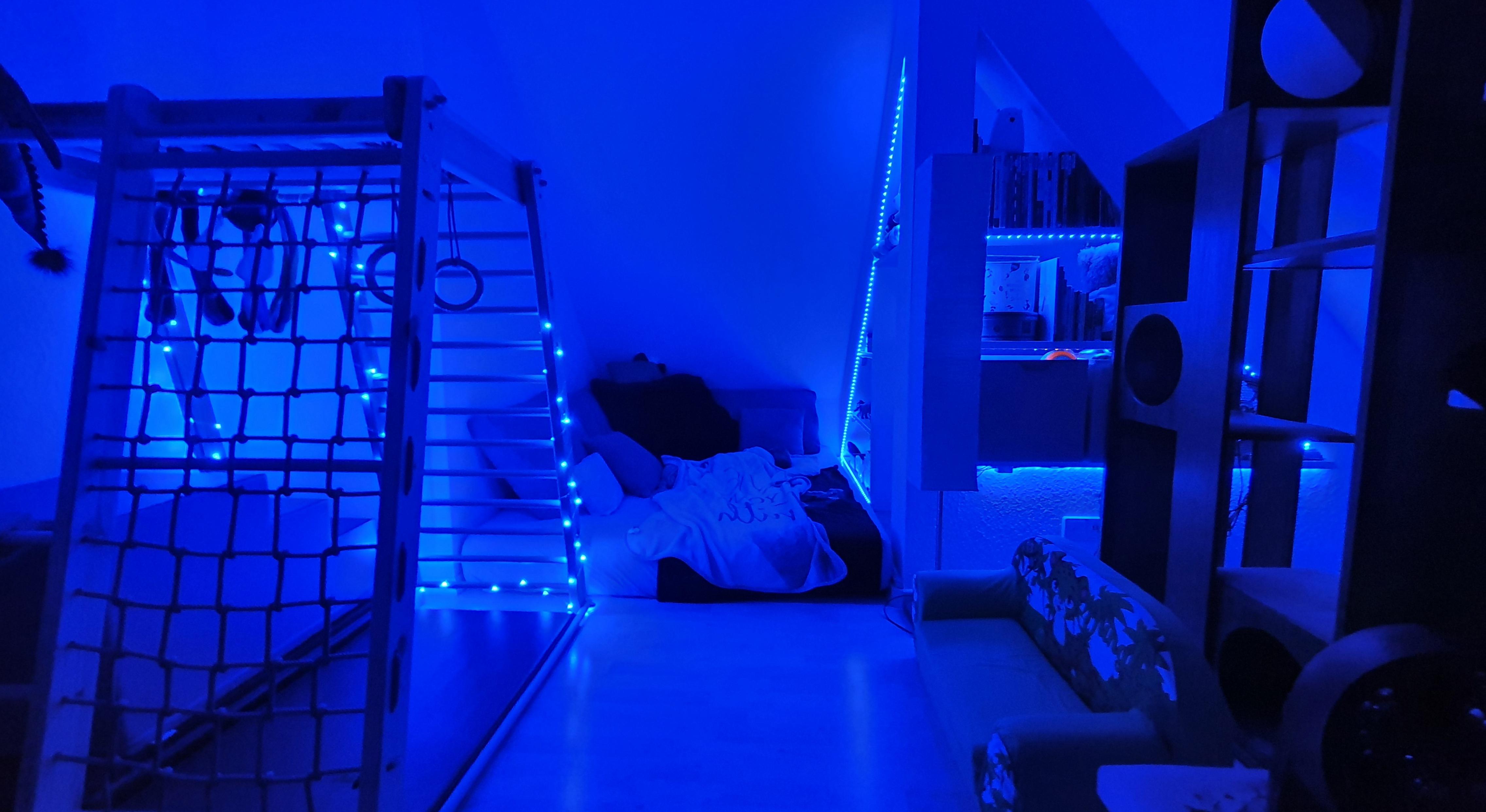 Set Up For My 2yr Old Daughters Room Scrolller