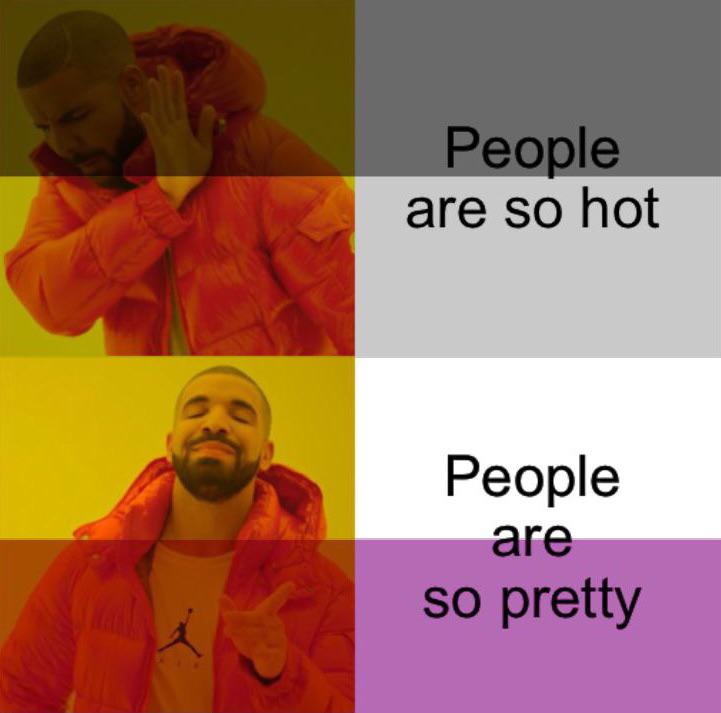 Sexual Vs Aesthetic Attraction Meme Scrolller 9861
