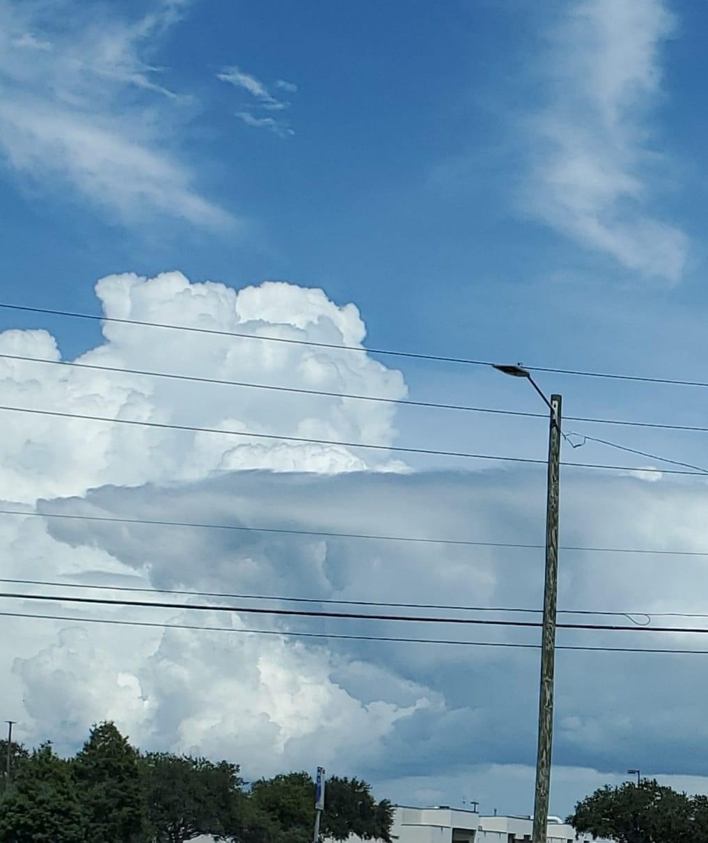 Shark cloud | Scrolller