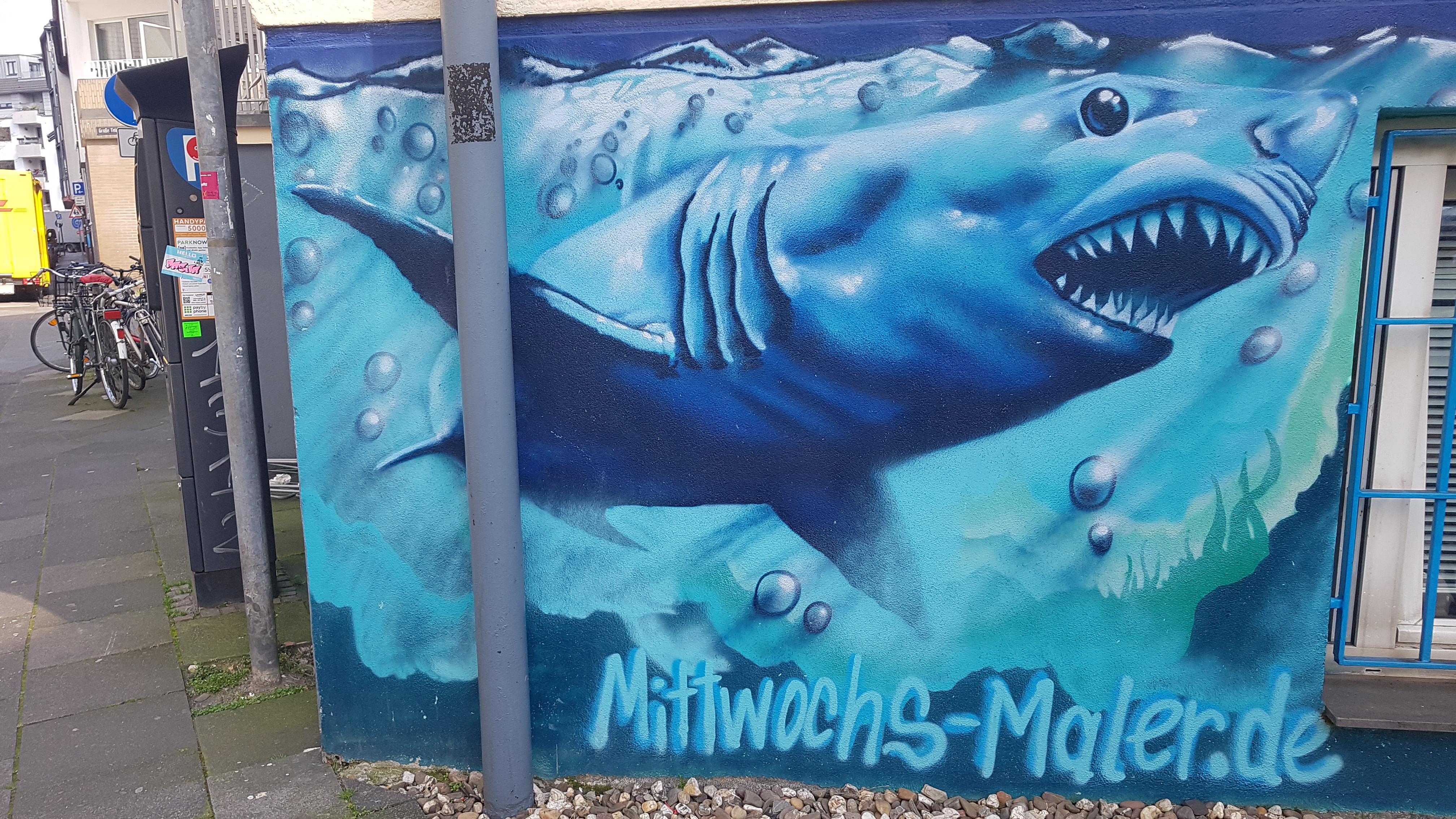 Shark spotted in Cologne, Germany | Scrolller