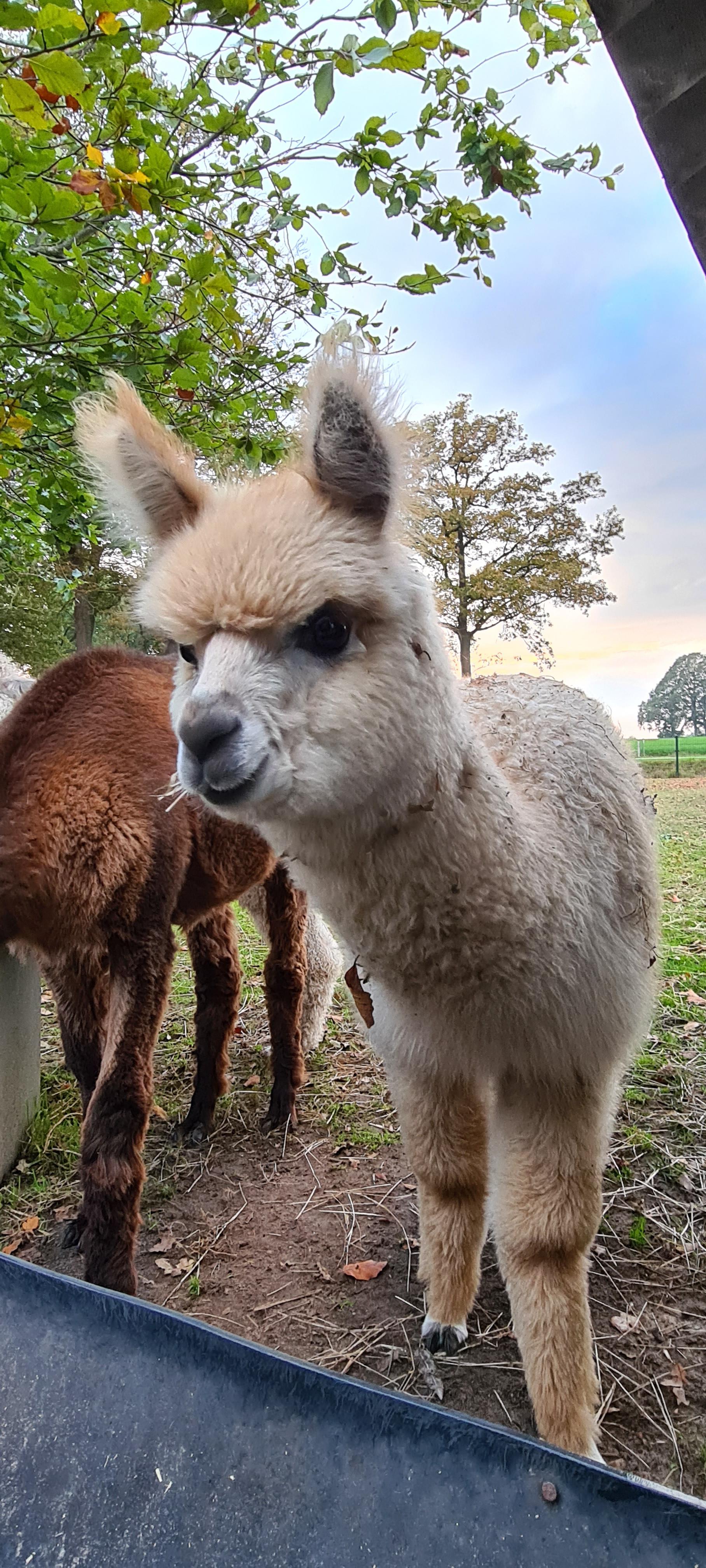 She always looks so angry | Scrolller