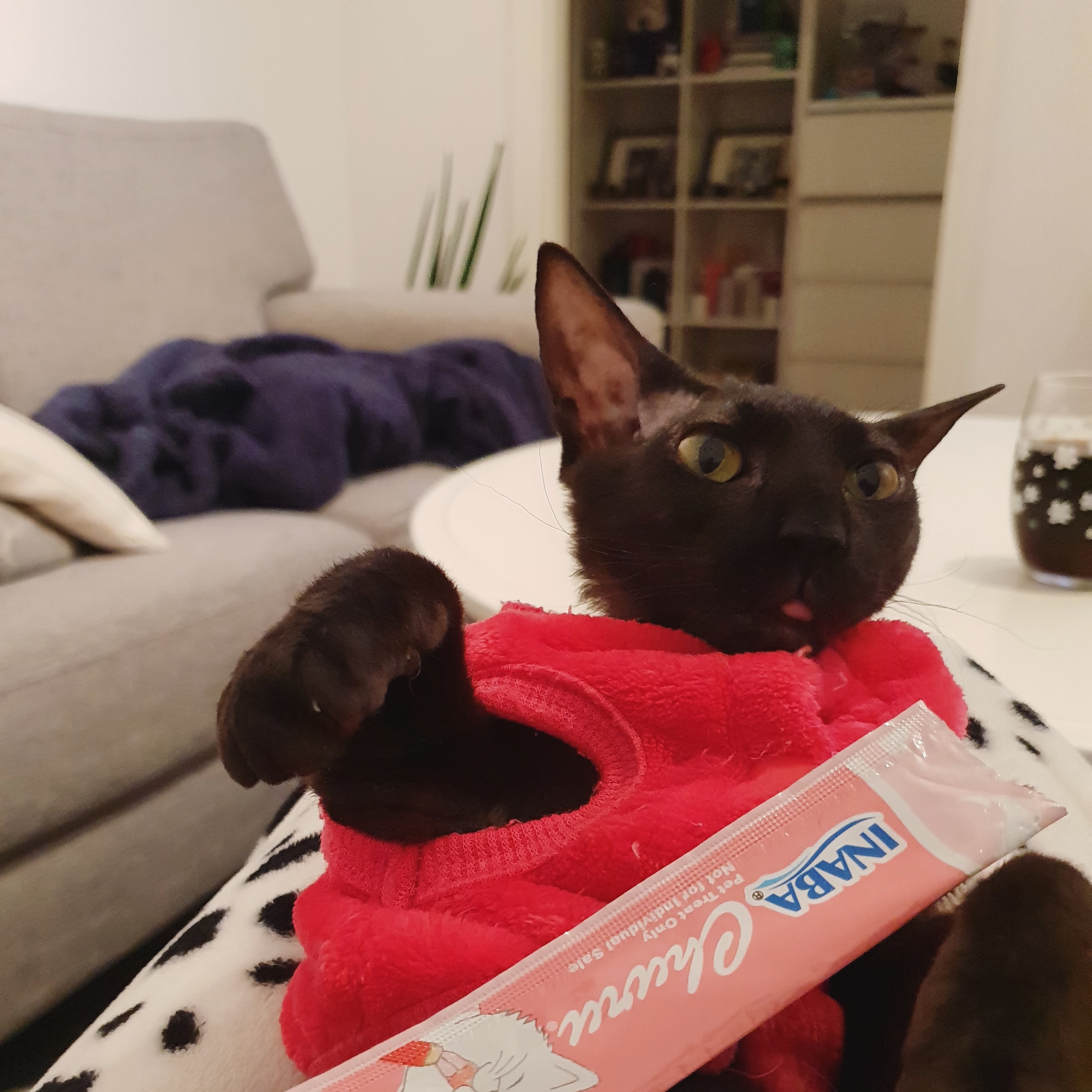 she ate way too much | Scrolller