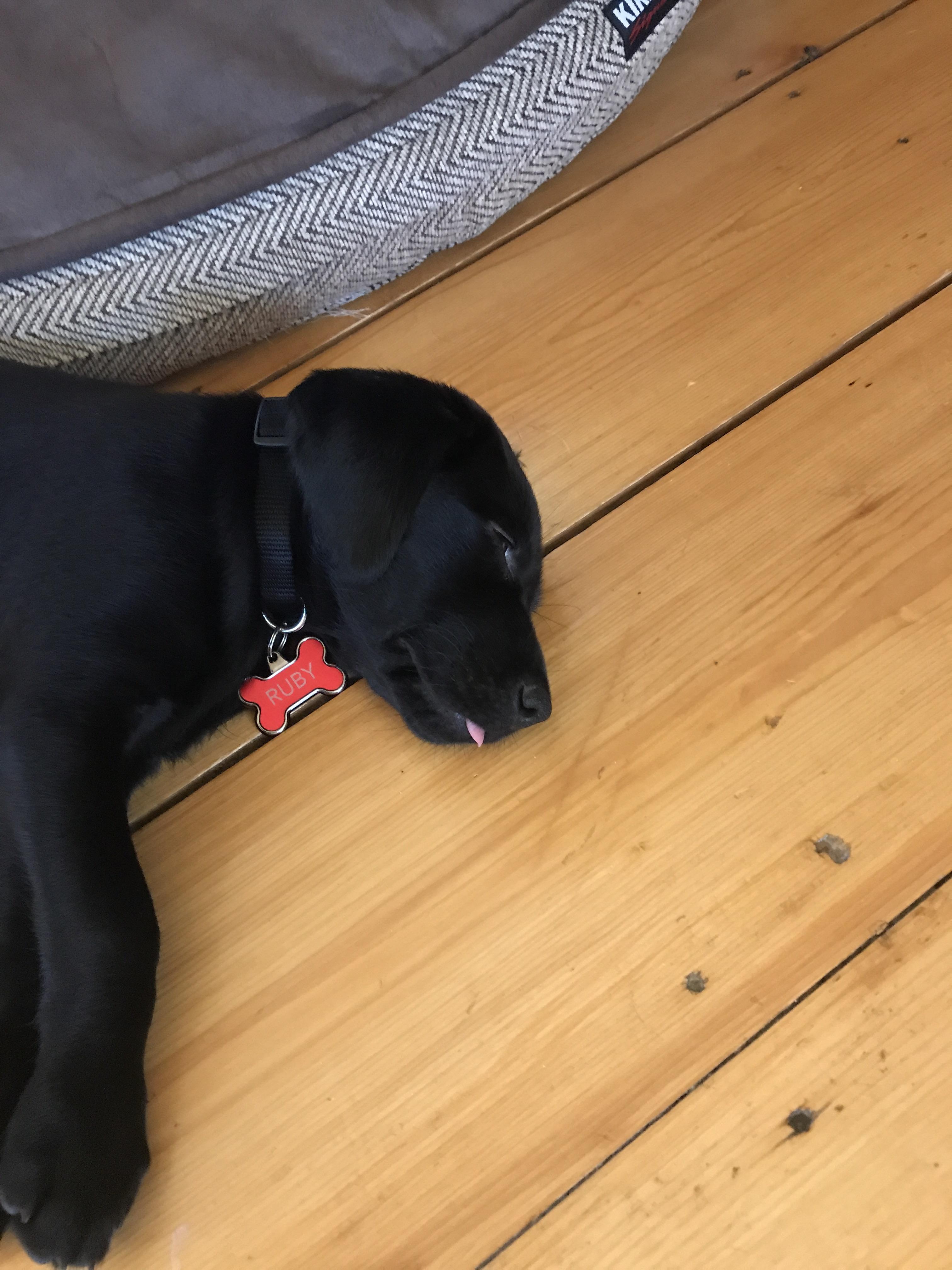 She blop when she sleep.