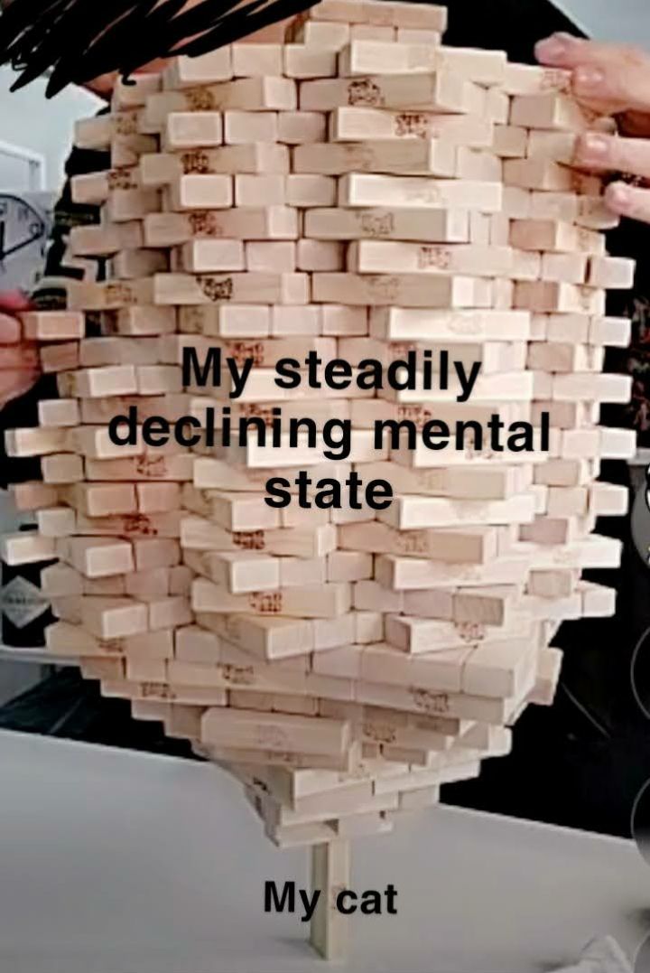 She brings me much joy | Scrolller