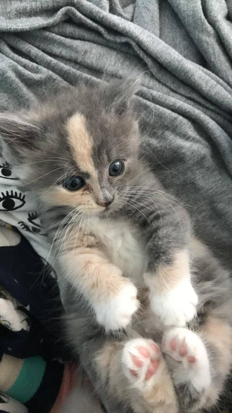 She can almost touch her lil beans!! | Scrolller