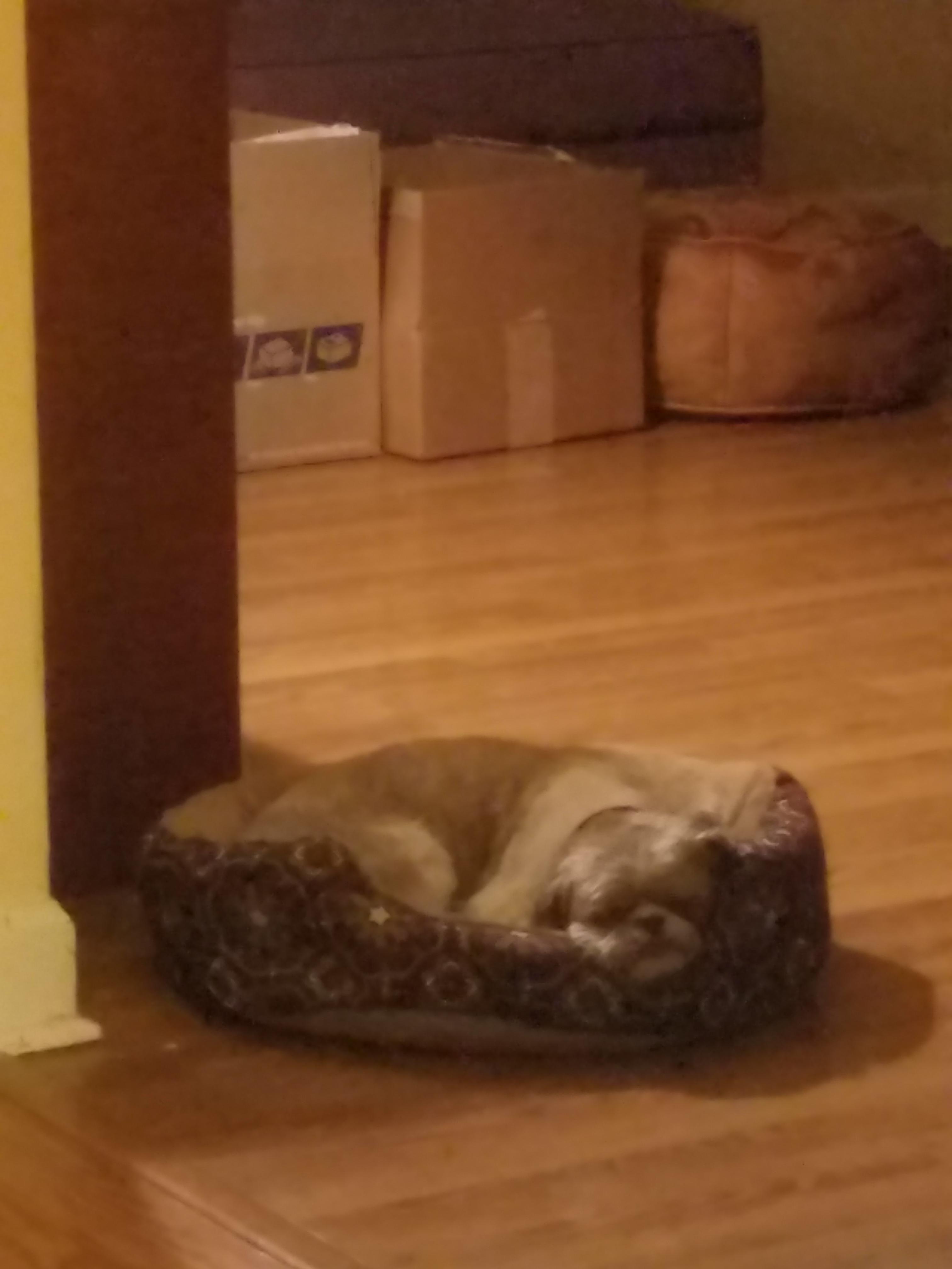 She fell asleep staring at me | Scrolller