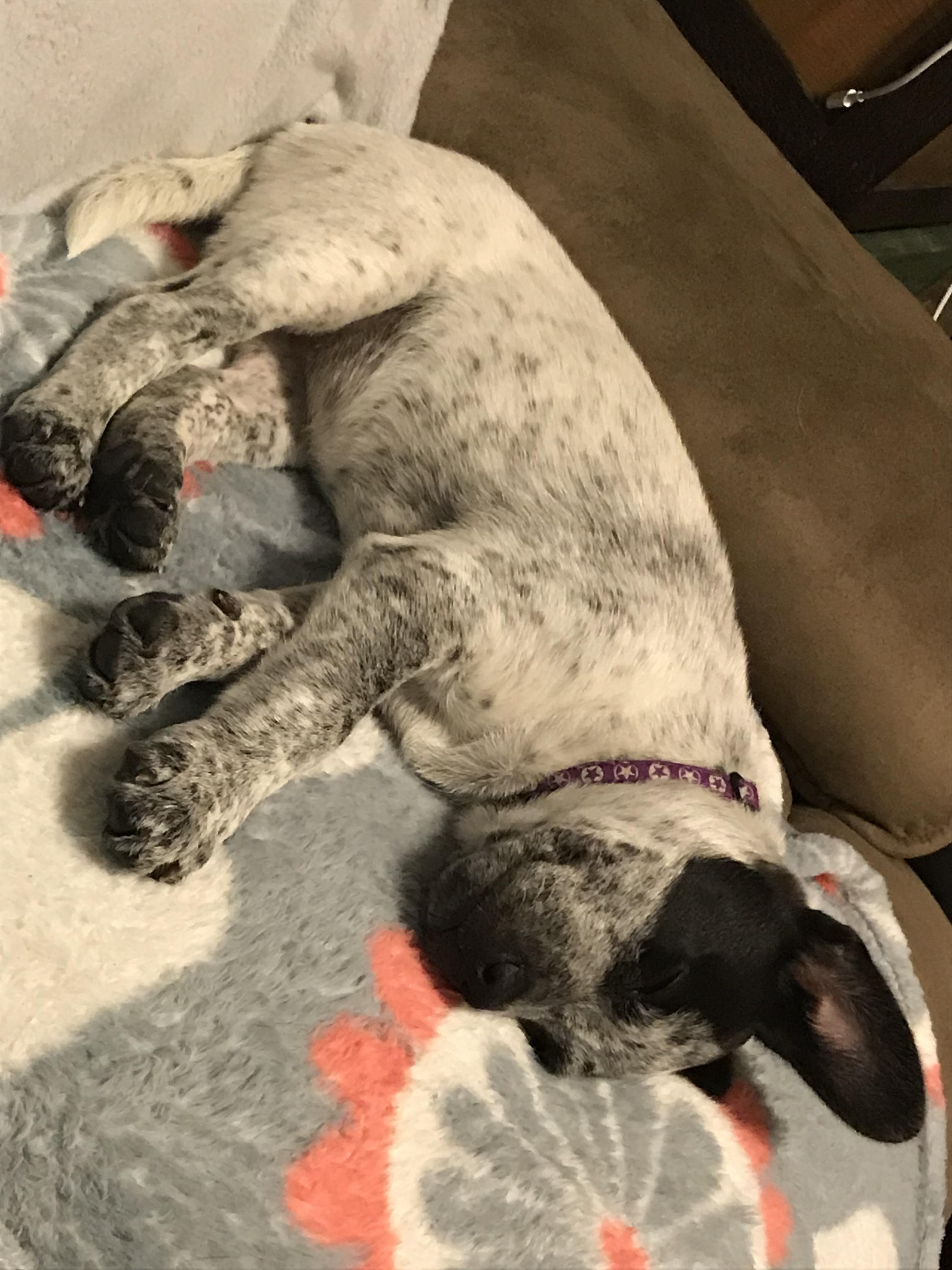 She has gotten so big since then!! | Scrolller