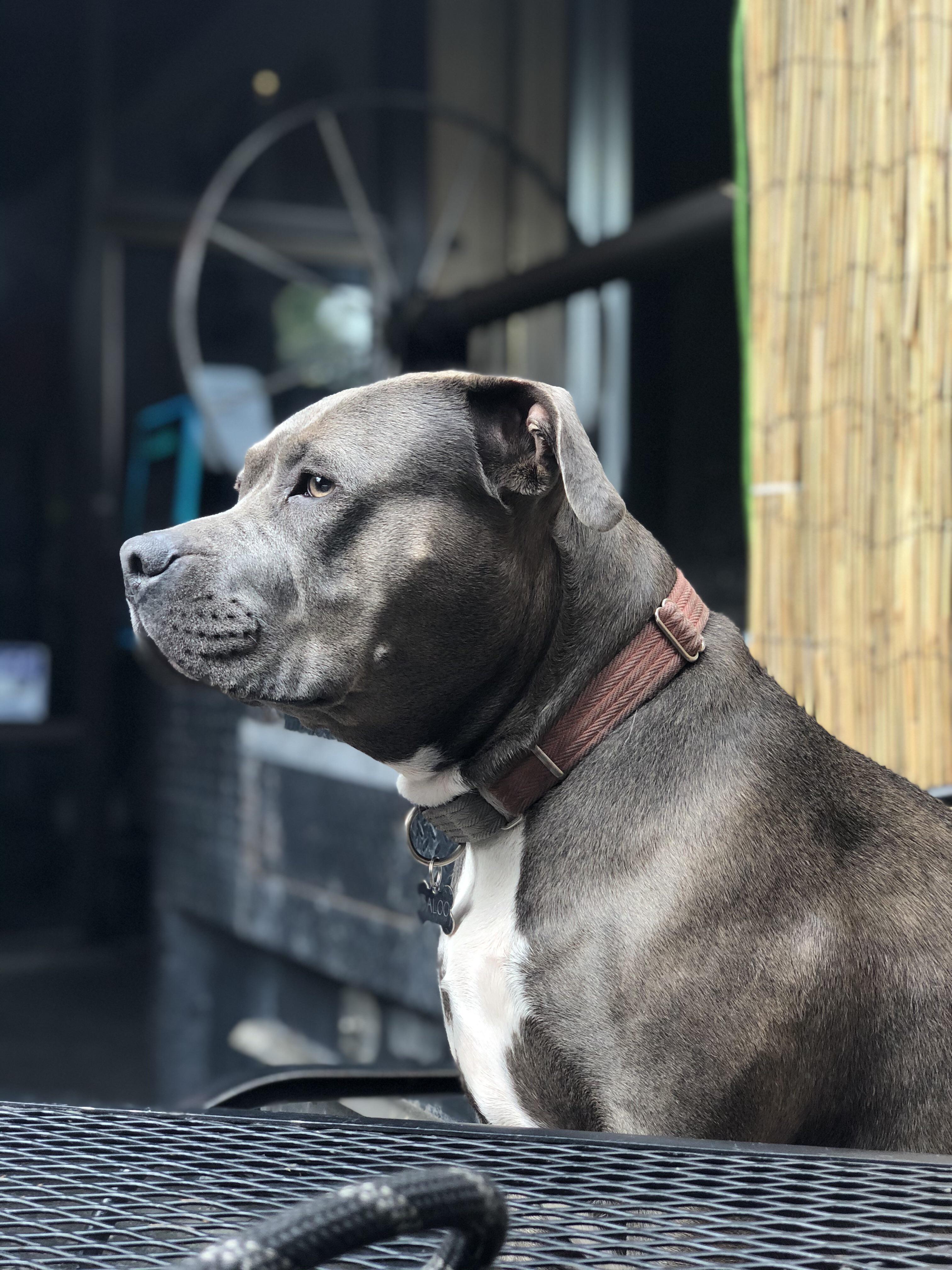 She has no reason to look so stoic and serious but... | Scrolller