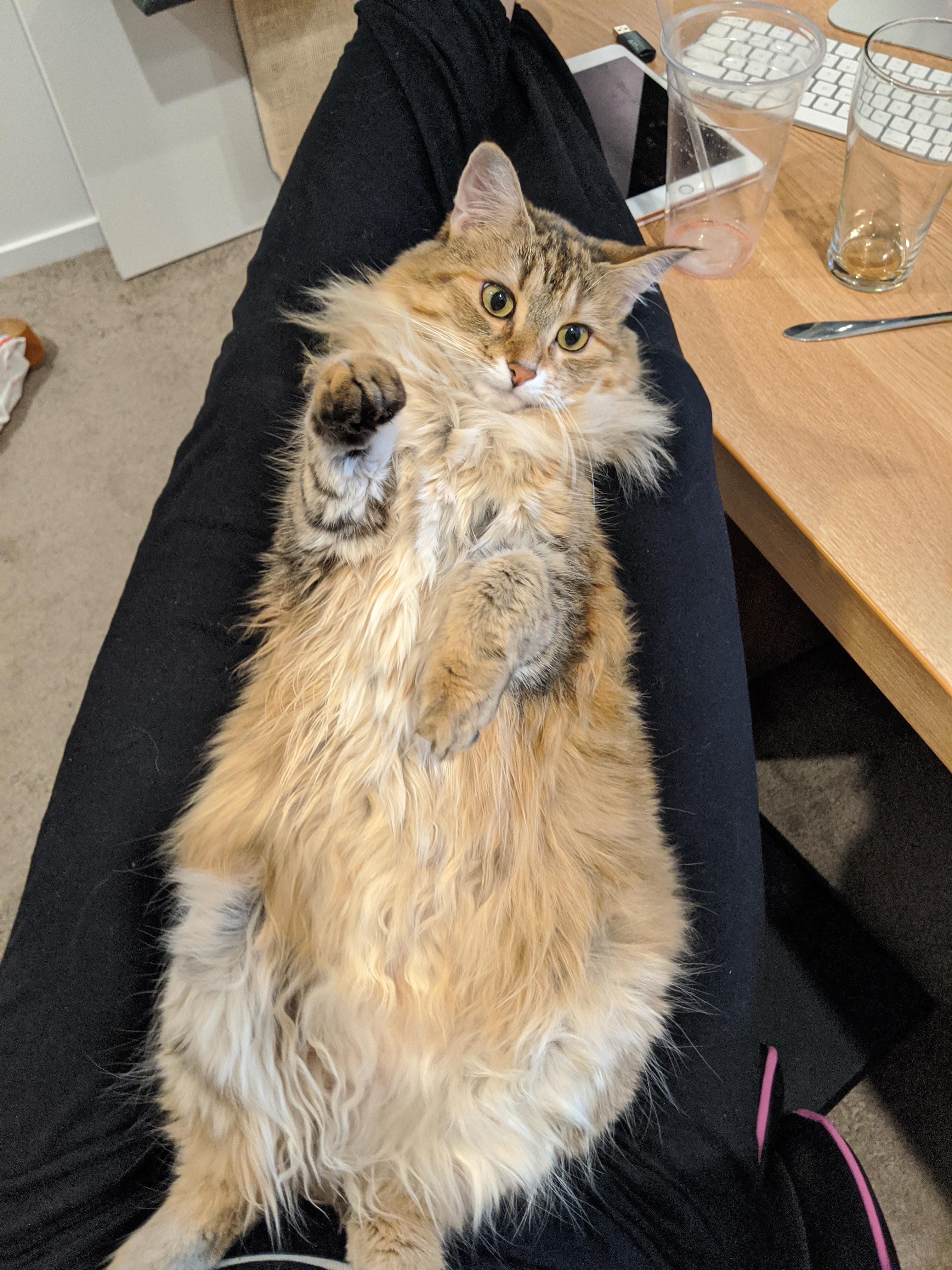 She is just a little pear🍐 | Scrolller