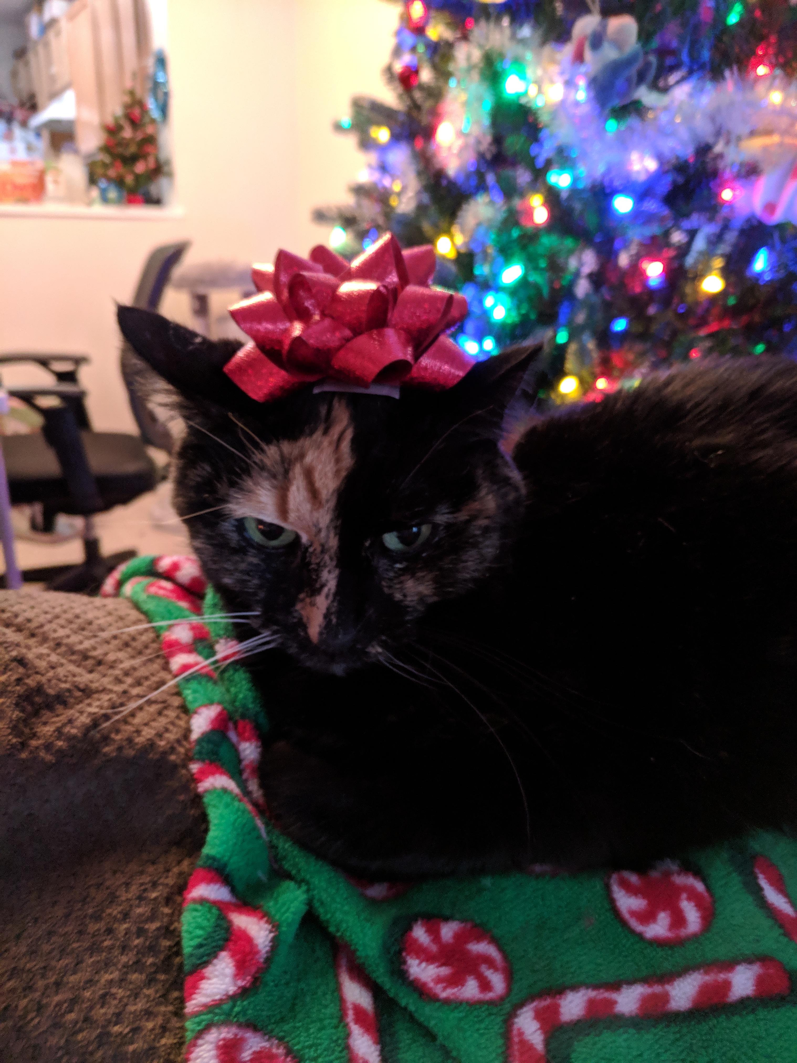 She is plotting her revenge... | Scrolller