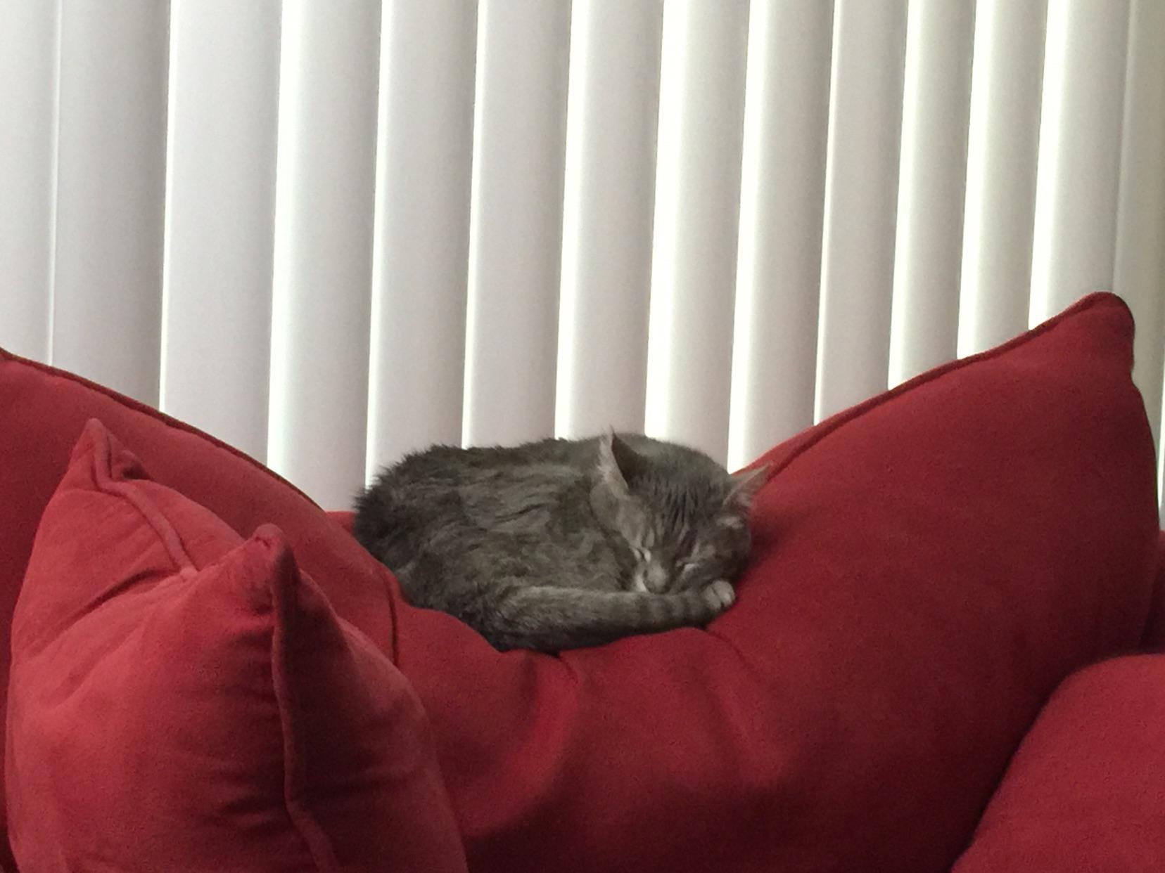 She likes the new chair | Scrolller