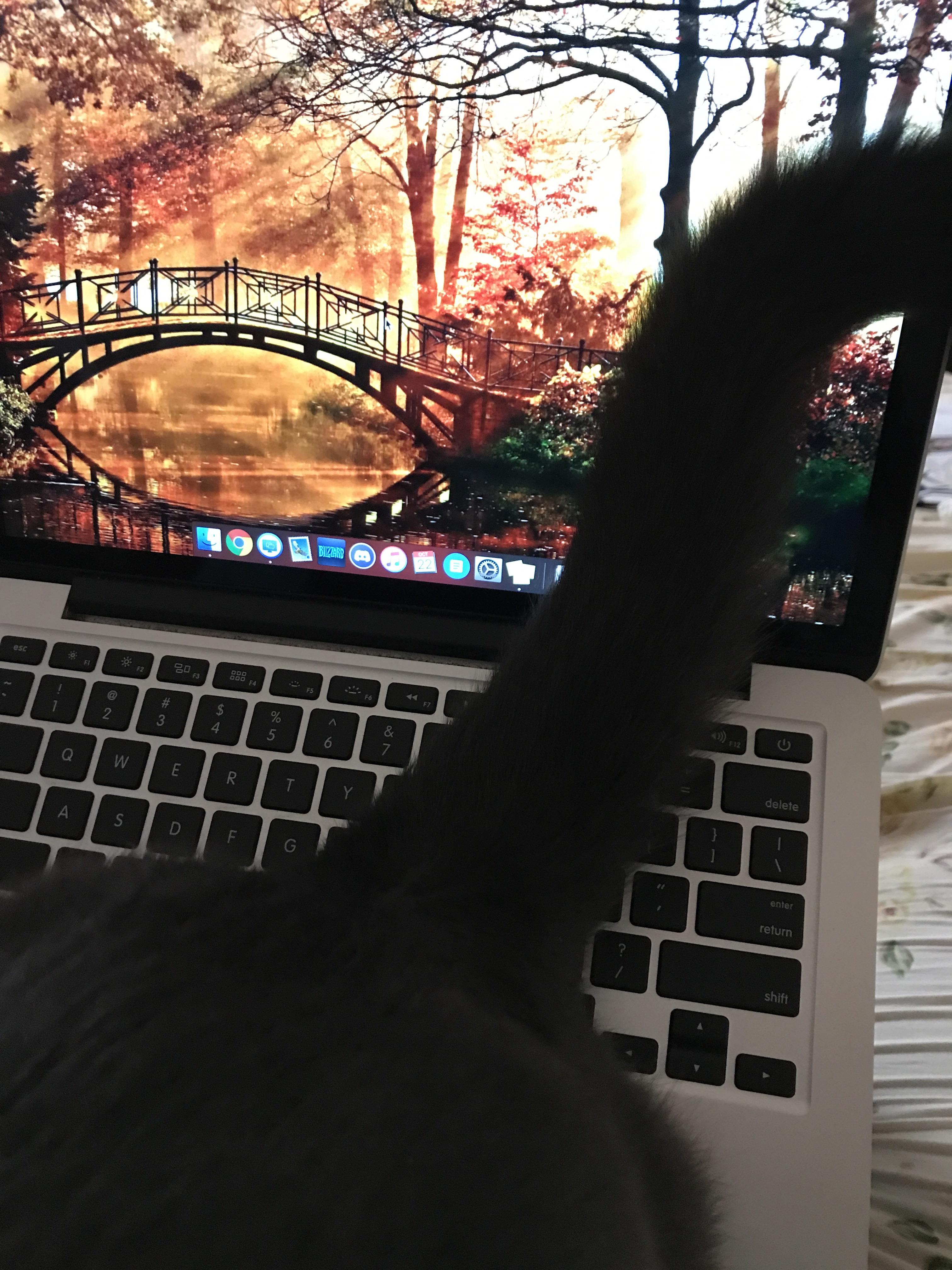 She loves to sit like this | Scrolller