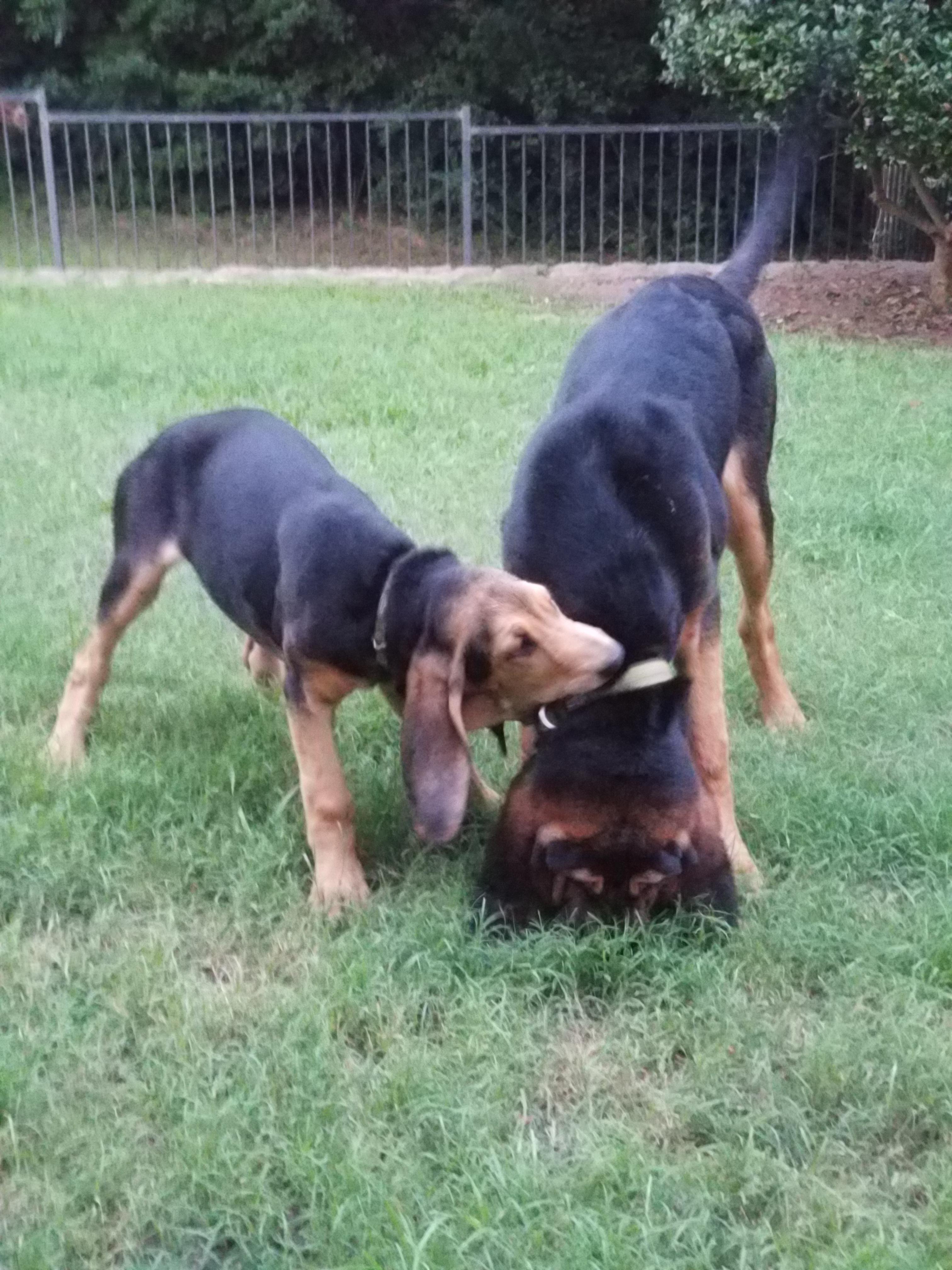 She never stops annoying her buddy | Scrolller