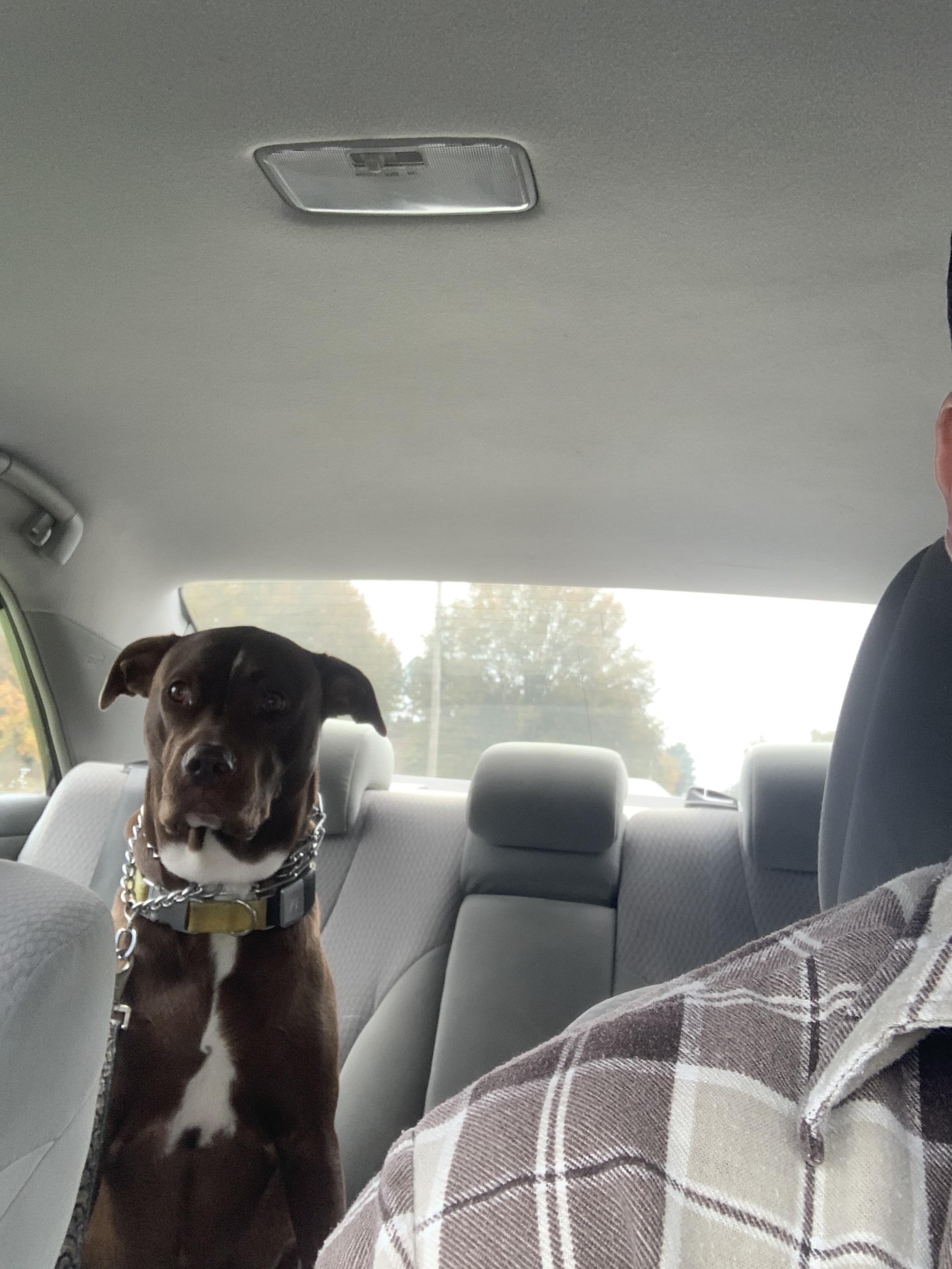 She’s a little judgmental, but she’s a good co-pilot. | Scrolller