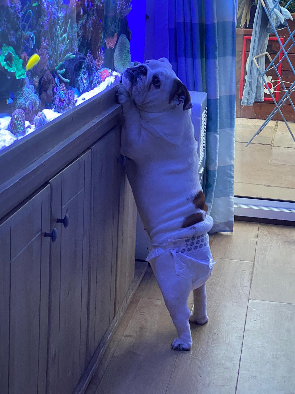 She’s always so curious... | Scrolller