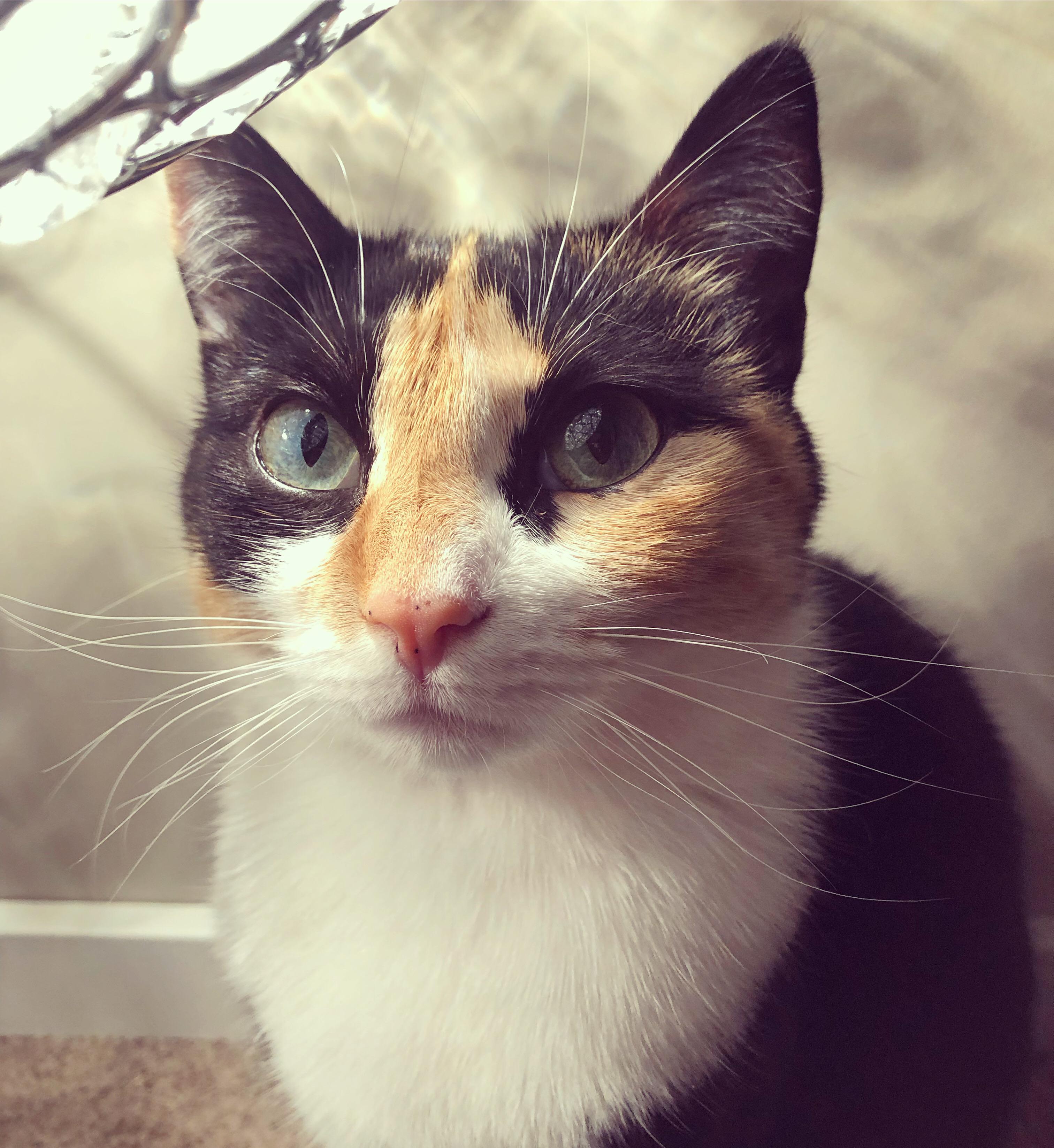 She’s an absolute peach | Scrolller