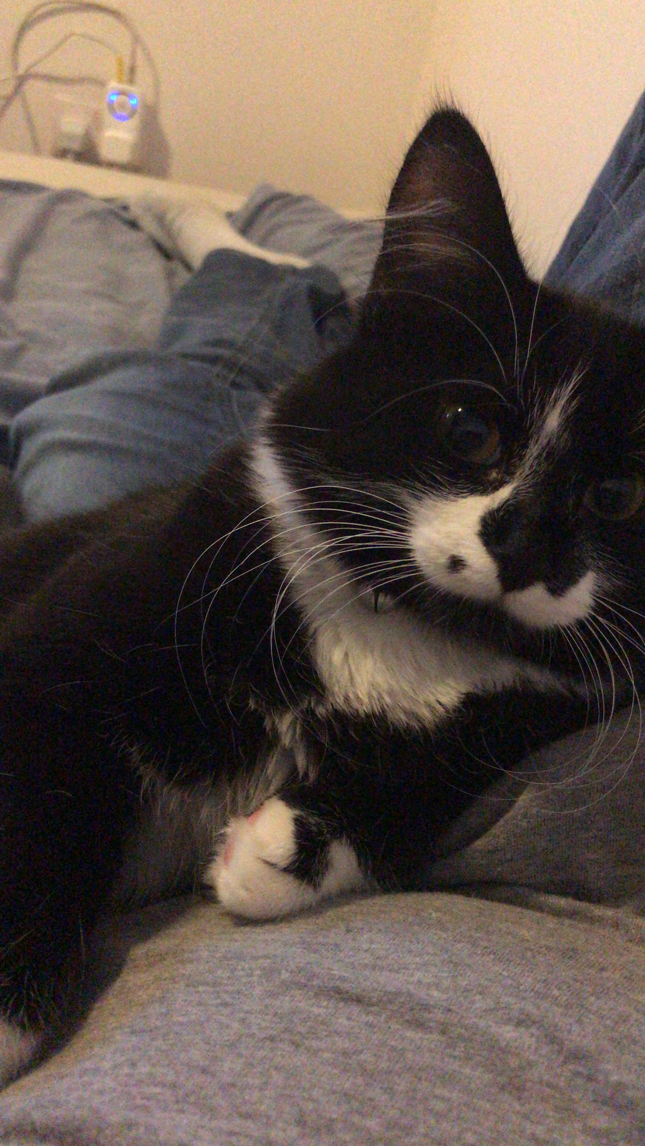 She’s very polite | Scrolller