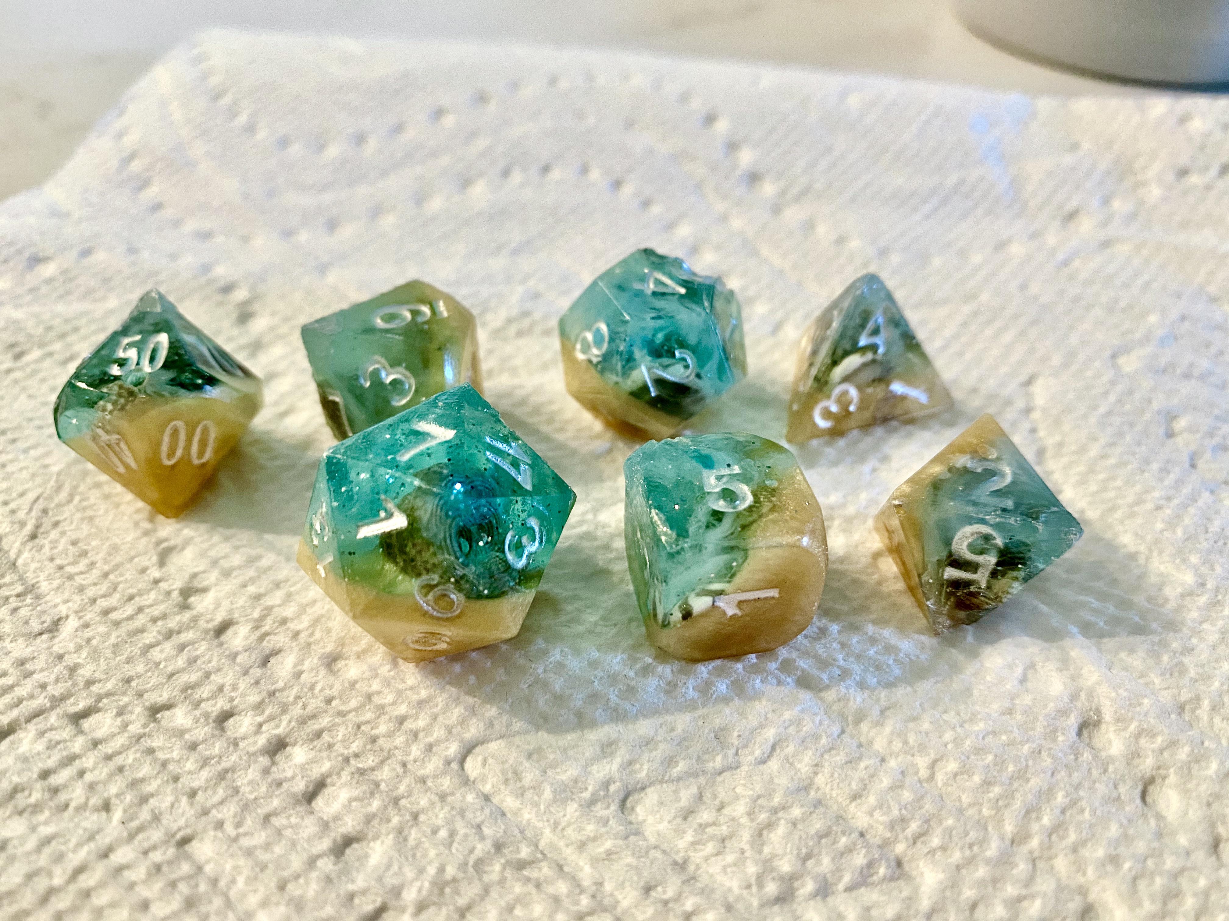 She Sells Sea Shells by the Sea Shore | Scrolller