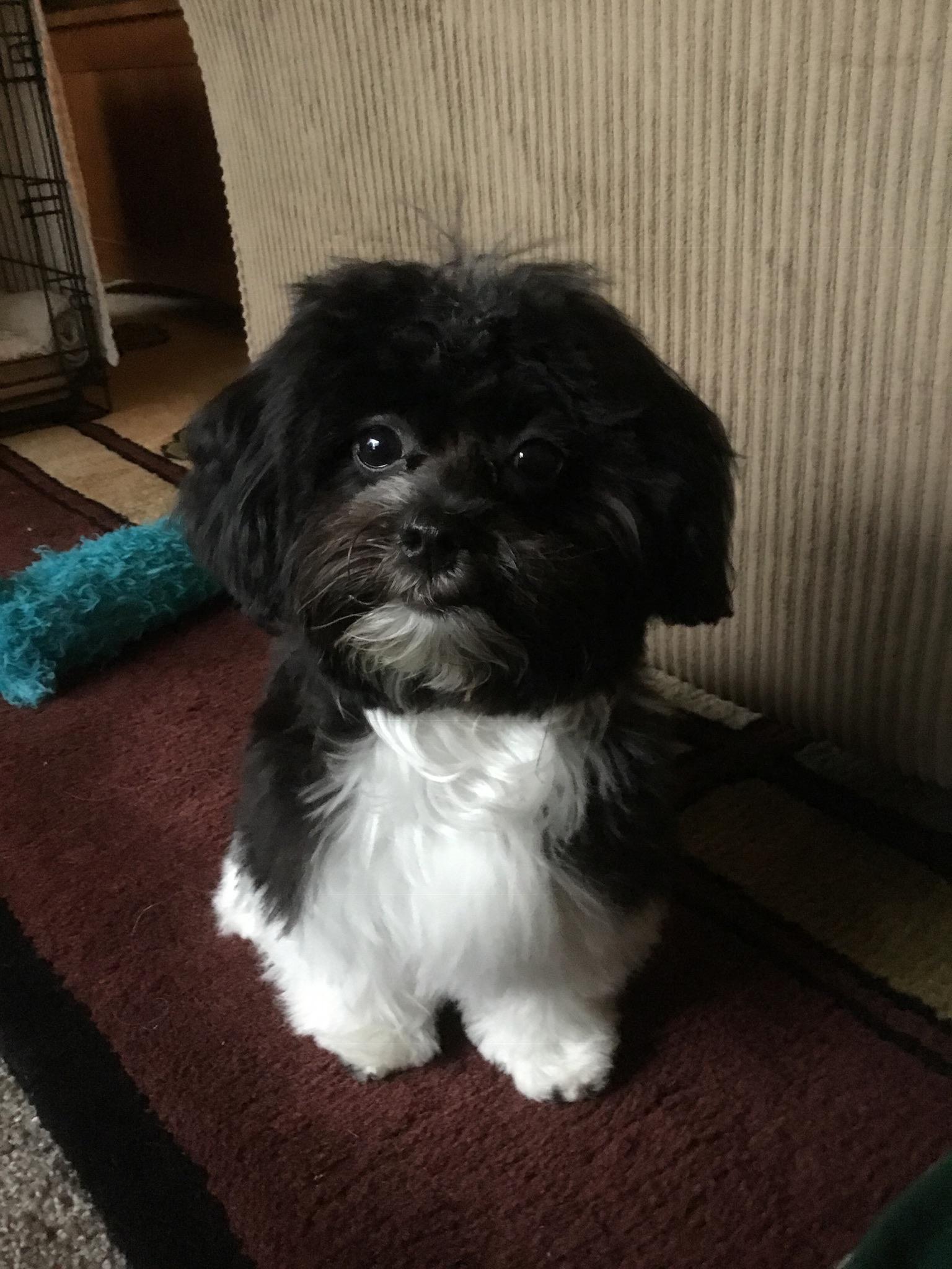 She smol | Scrolller