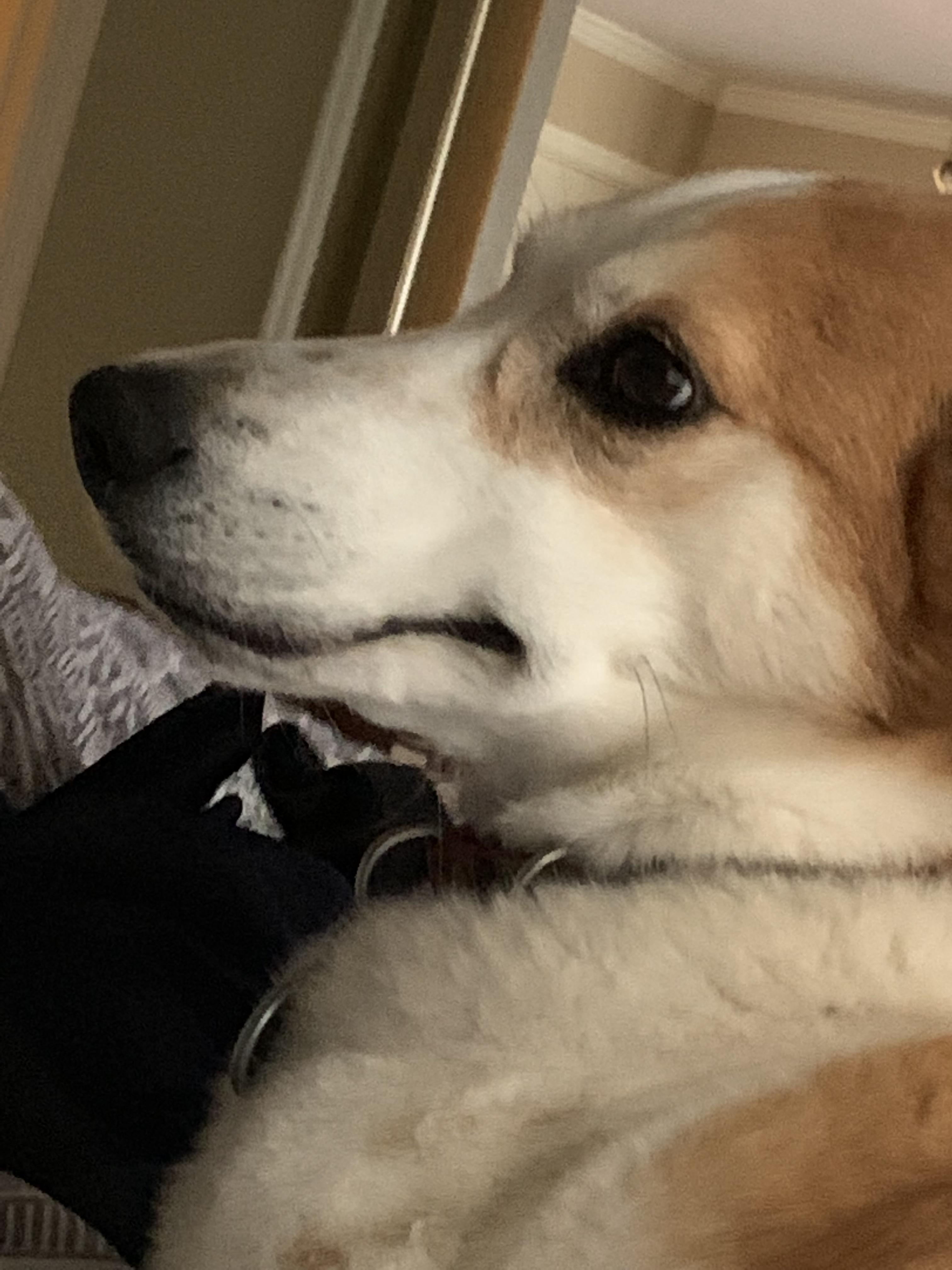 She will smile if you give karma | Scrolller