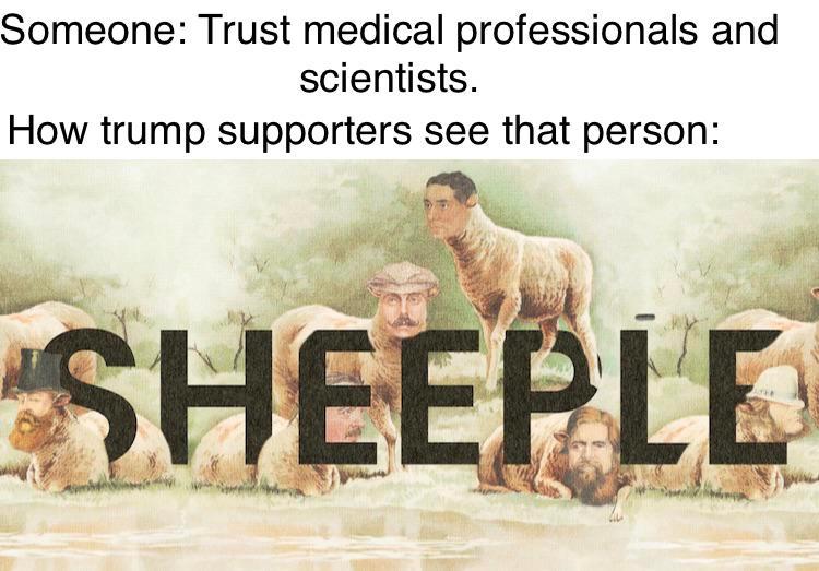 “Sheeple” | Scrolller