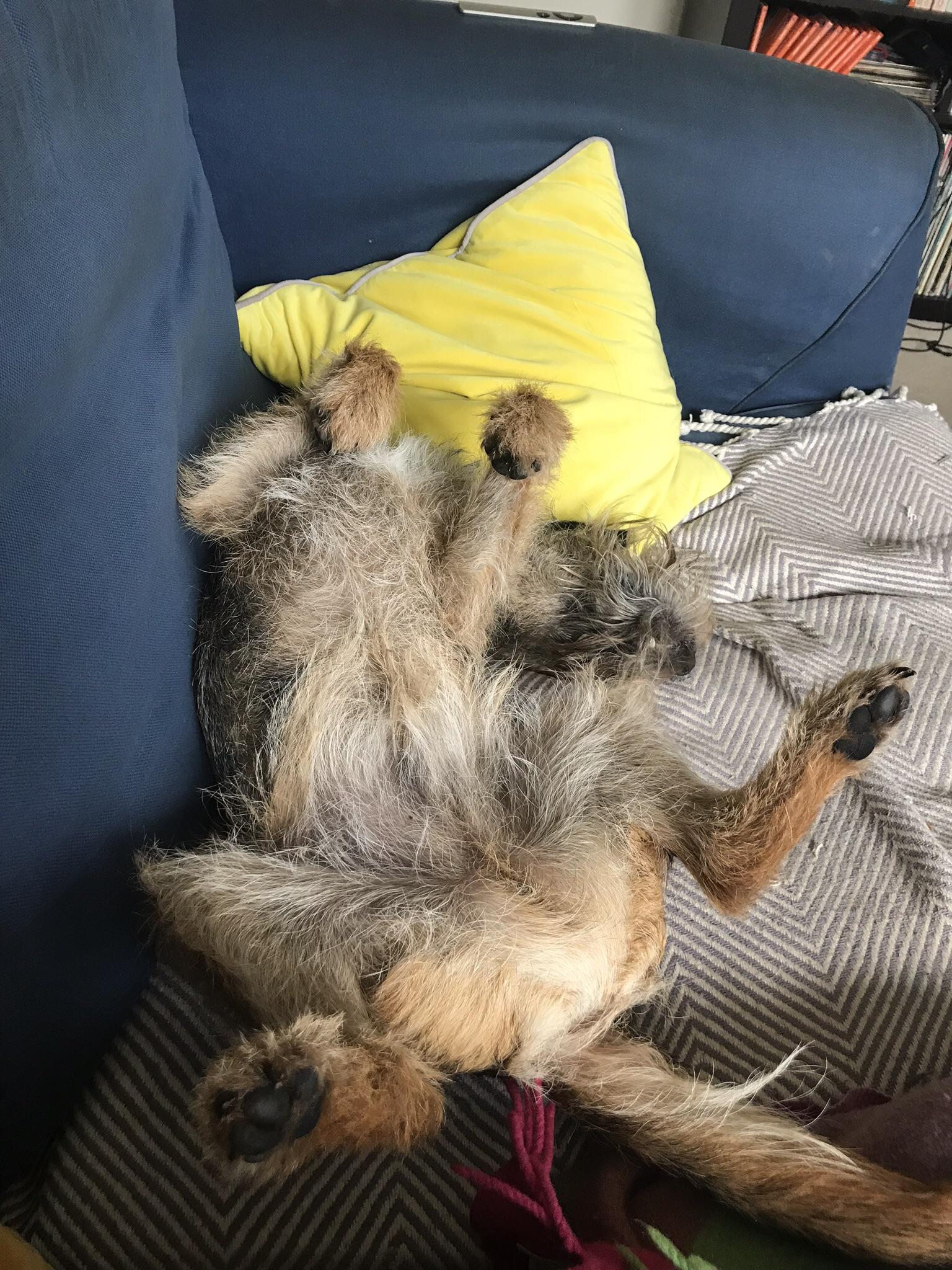 Sheer bliss... | Scrolller