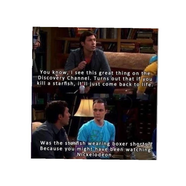 Sheldon always has the answer! | Scrolller