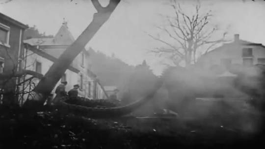 Sherman tank casualties destroyed during the early stages of Unternehmen Nordwind in December ...